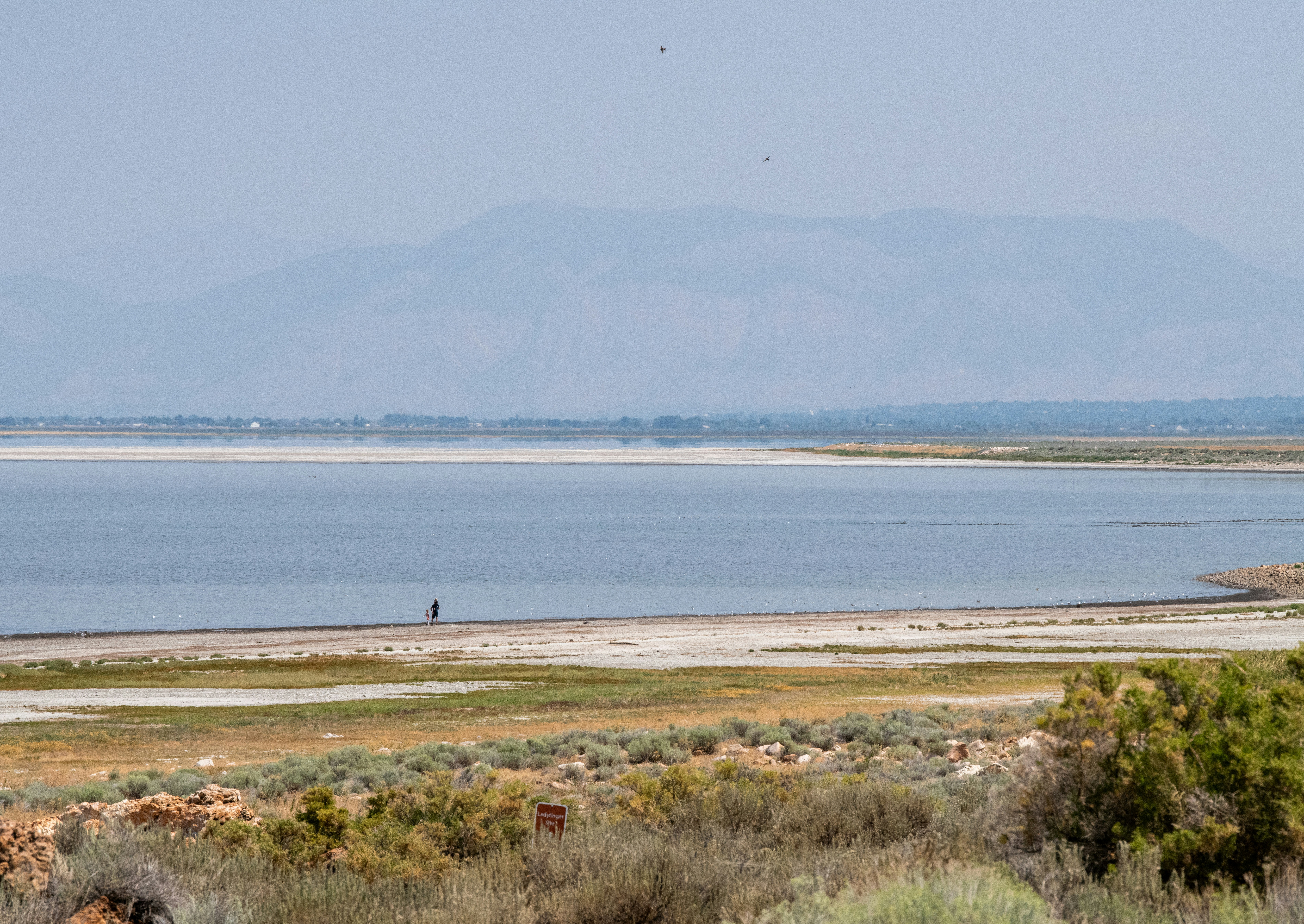 Salt Flats at Distant Shore