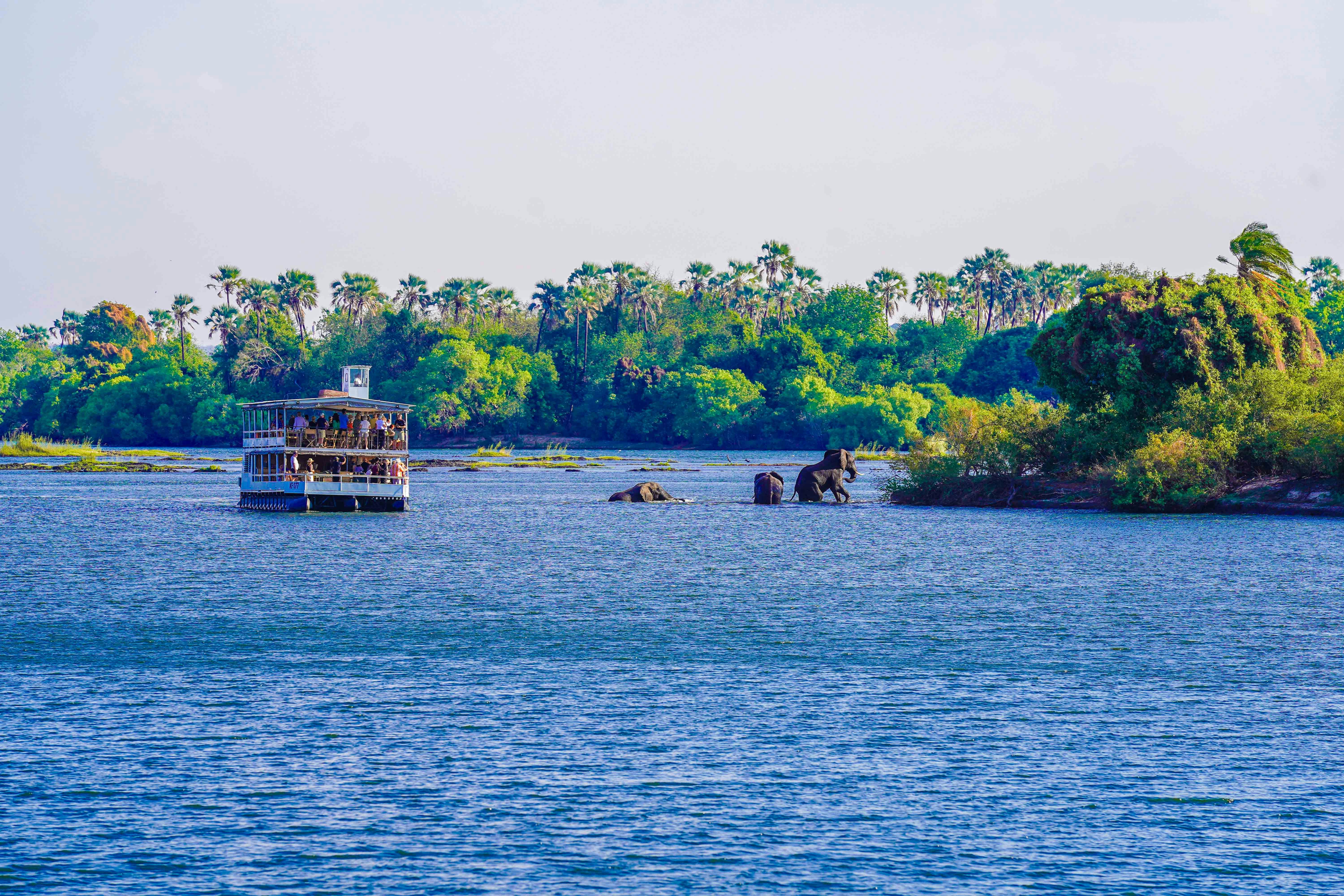 Boat Cruise with Elephants