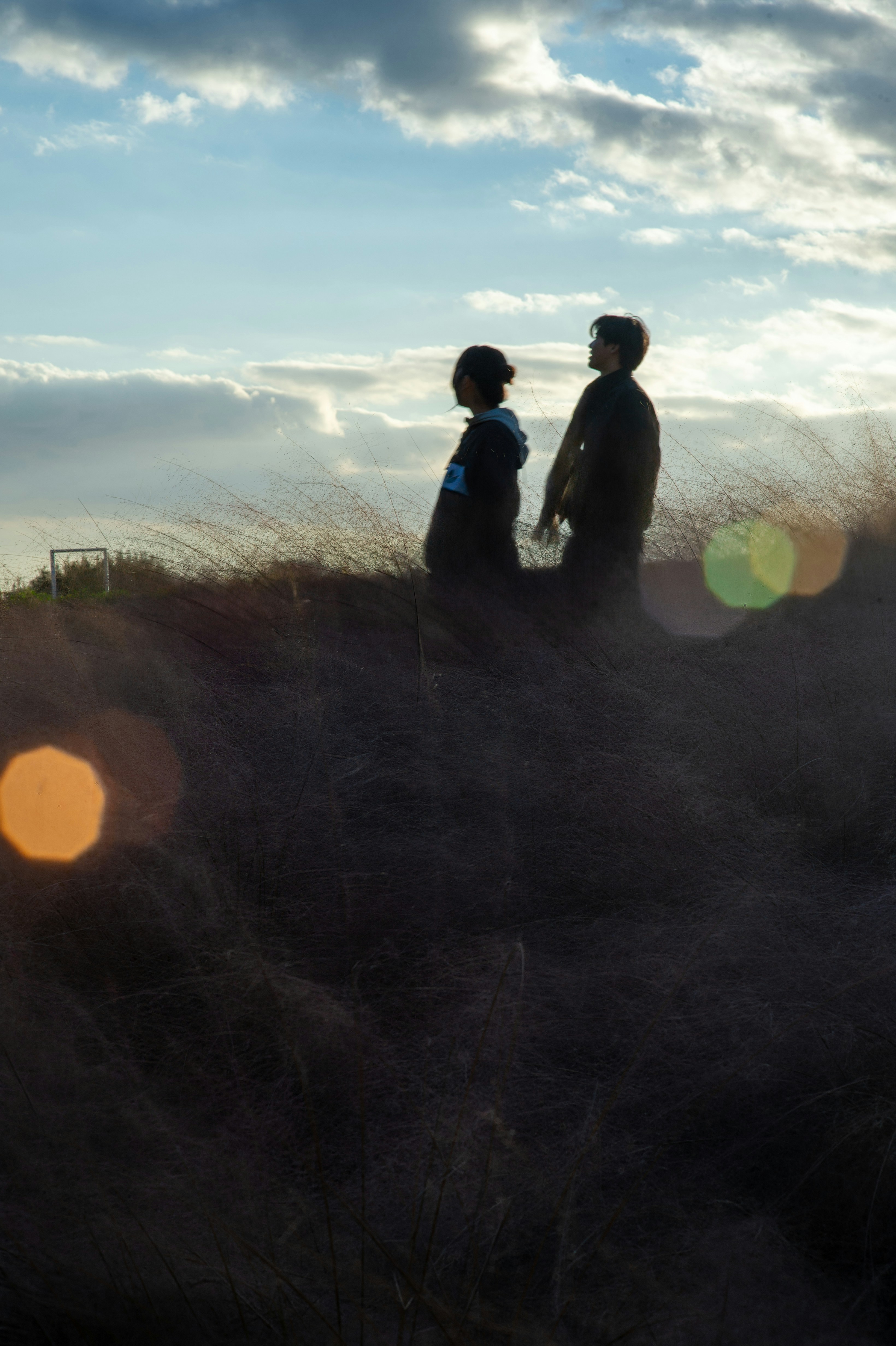 Silhouetted Walk: A Quiet Moment at Dusk