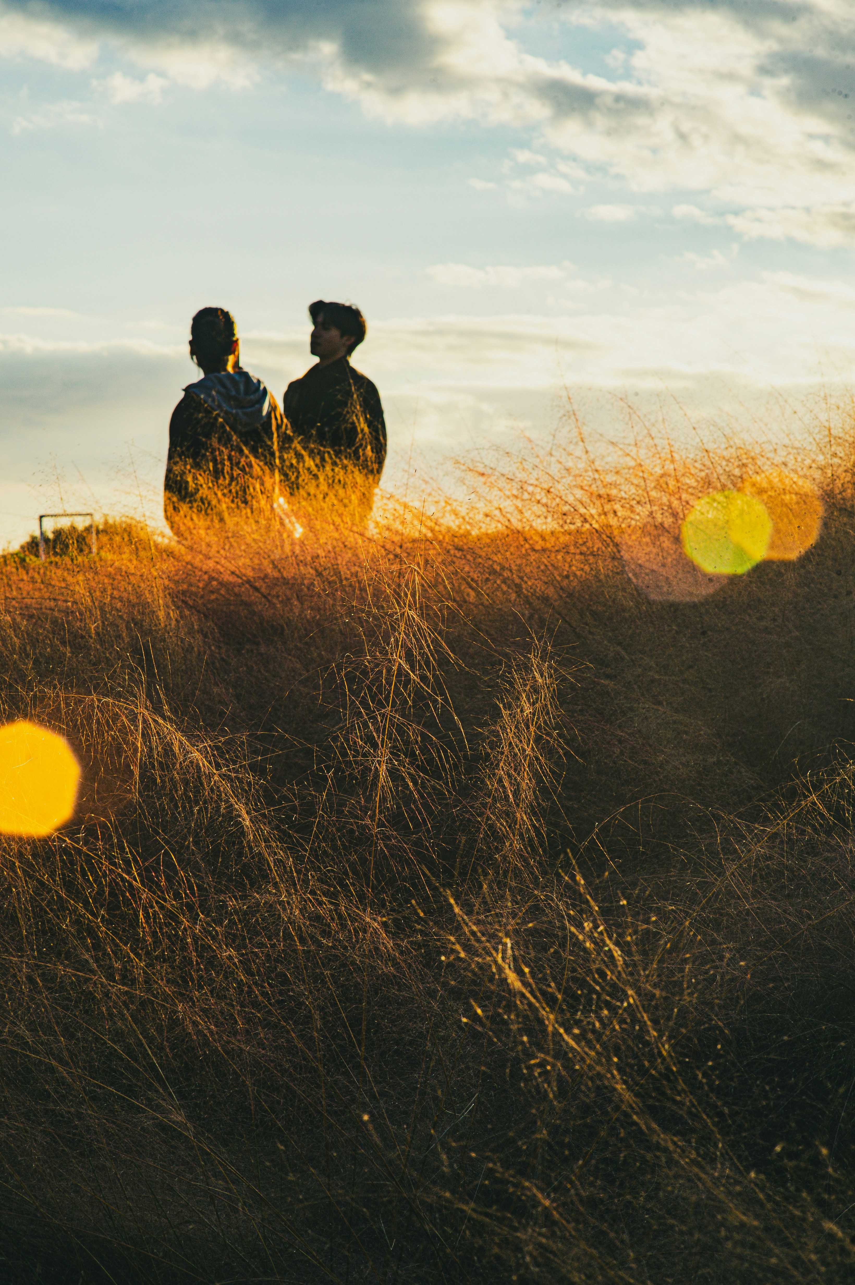 Two Silhouettes in Golden Dune Grass at Sunset