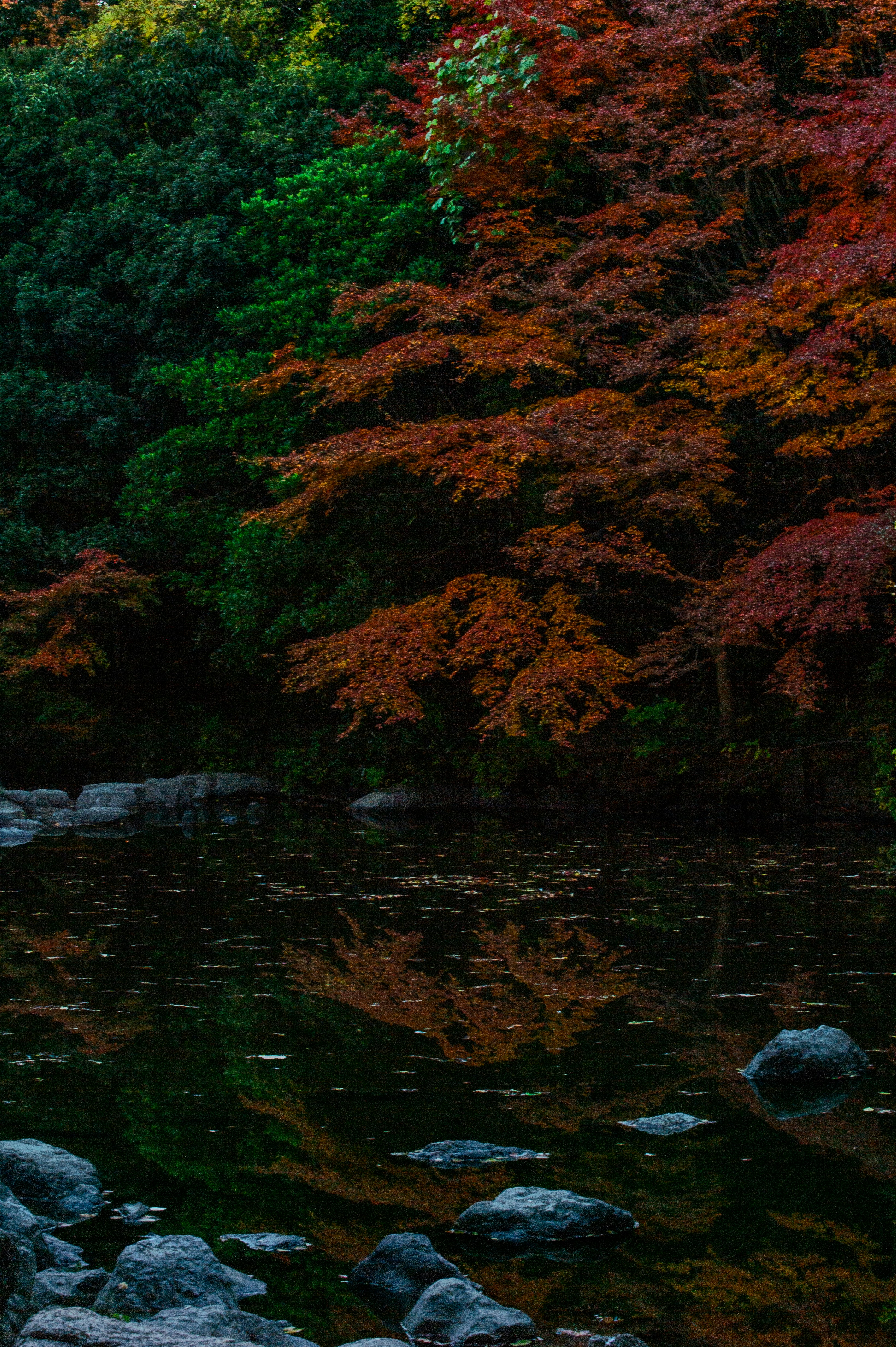 Autumn Reflections on the Quiet Water