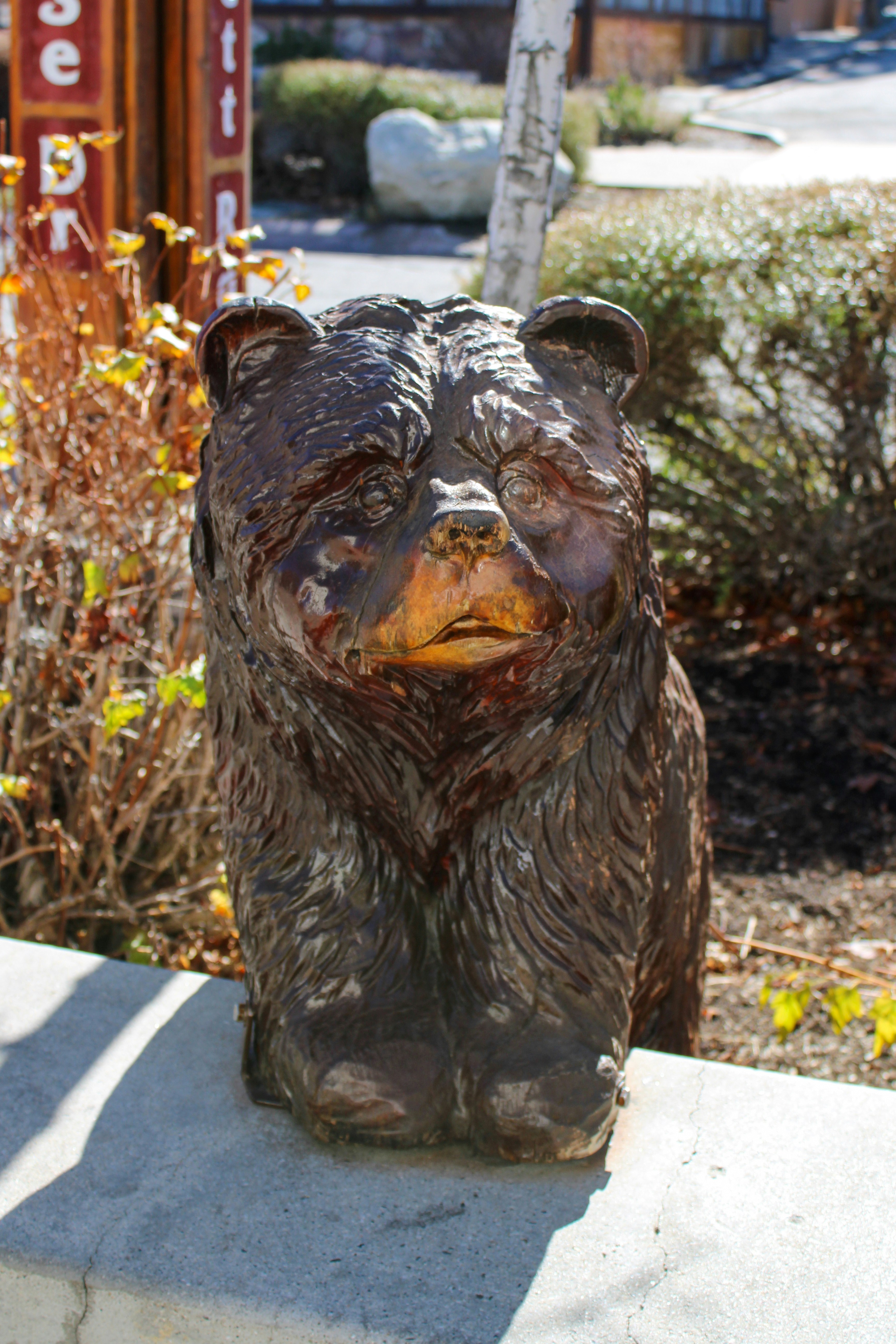 Bronze Bear at Rest: A Sunlit Courtyard Statue with Warm Glints