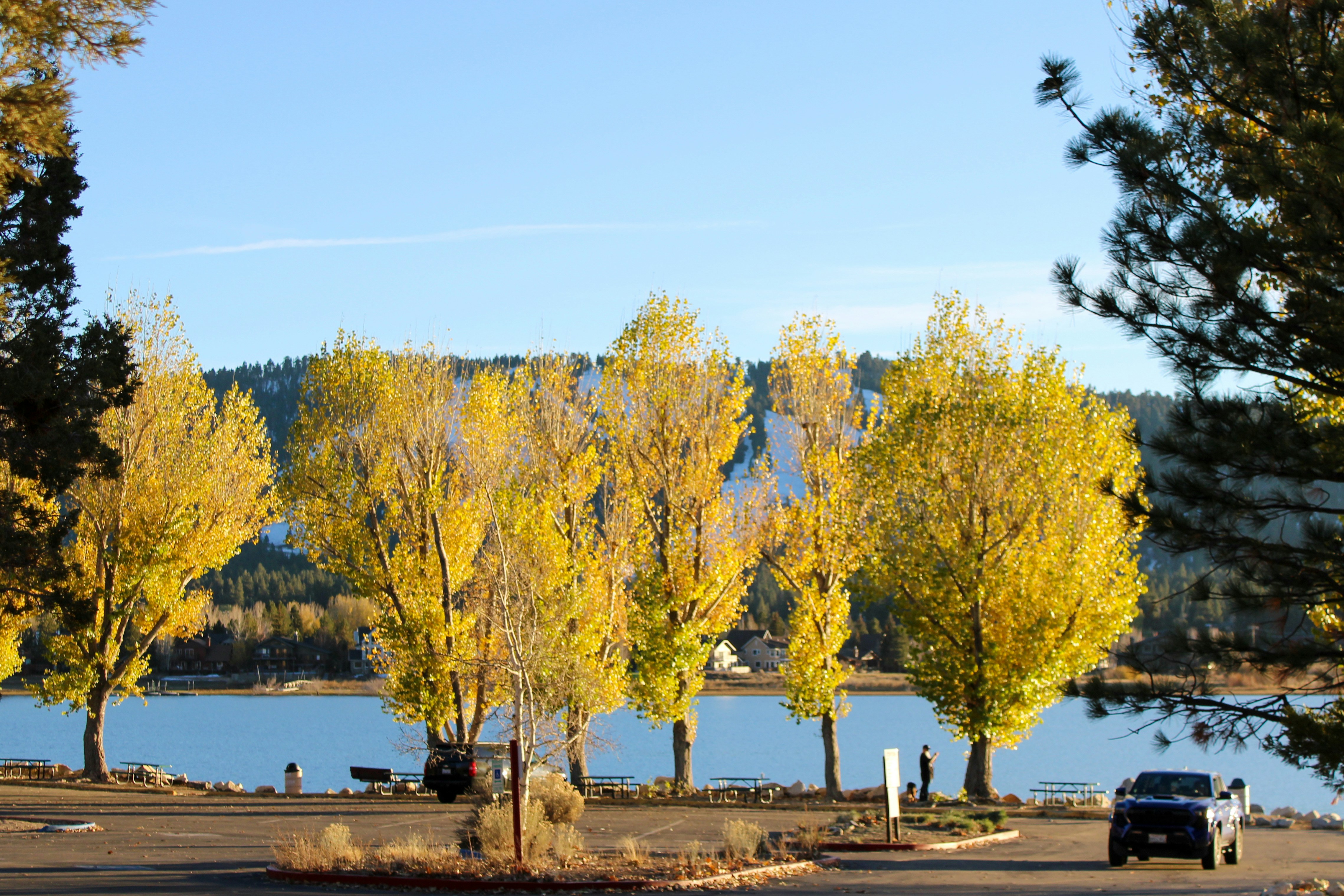 Golden trees by the lakeside: autumn light and calm parking lot