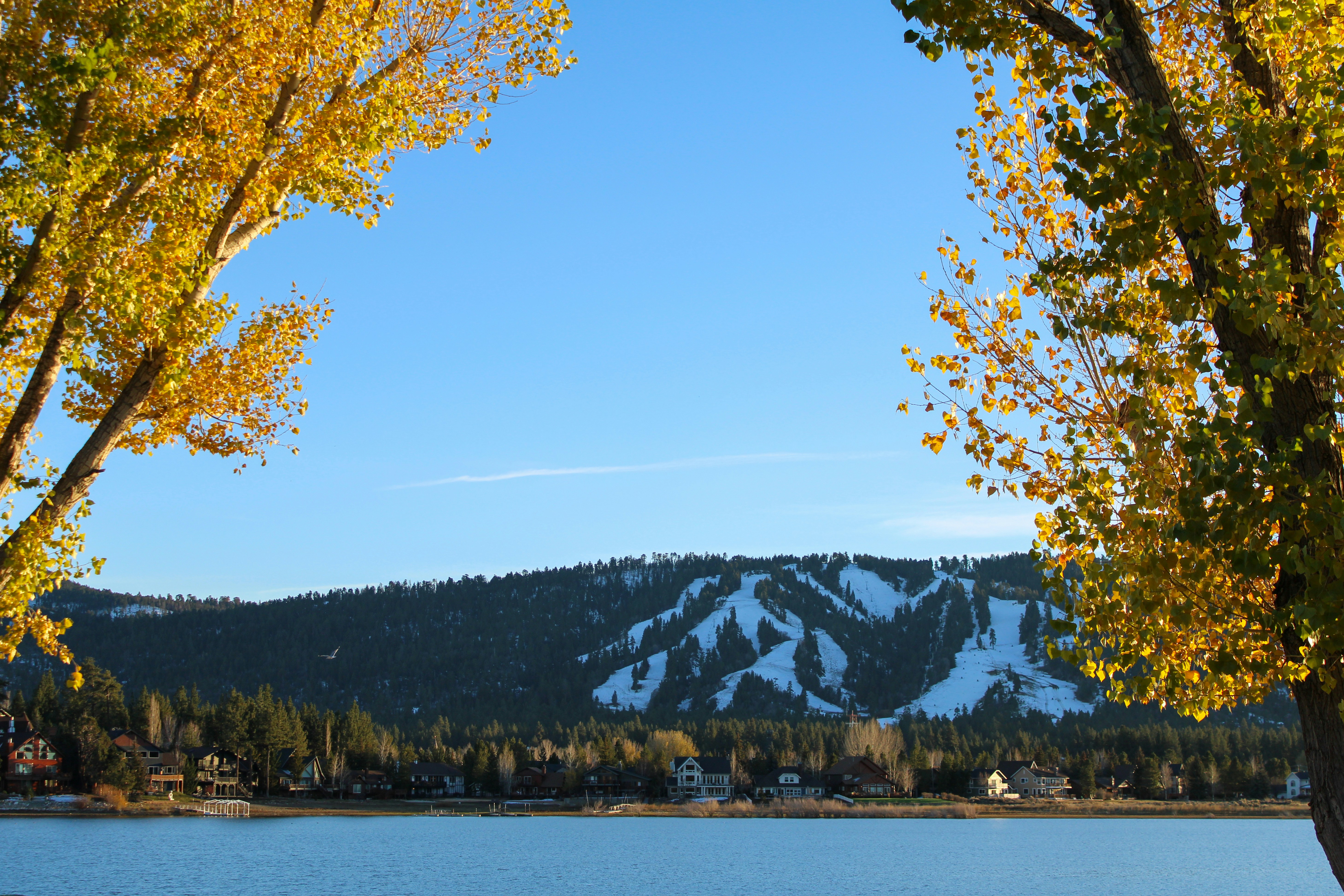 Blue Sky Over Lakefront Forest with Snow-Dusted Ridge