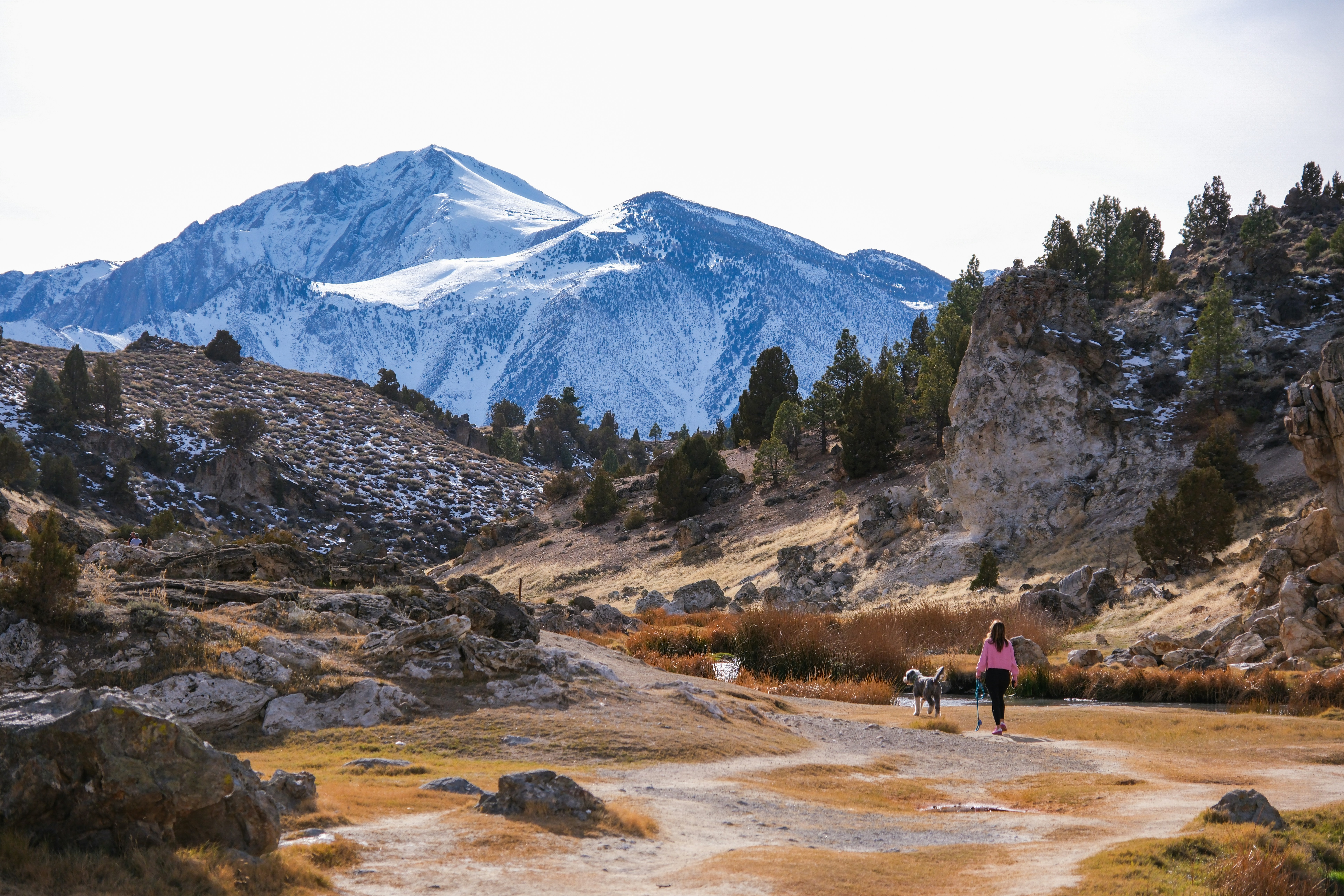 Trail to the Peaks: A Lone Hiker and Her Dogs Trek Through Alpine Boulders