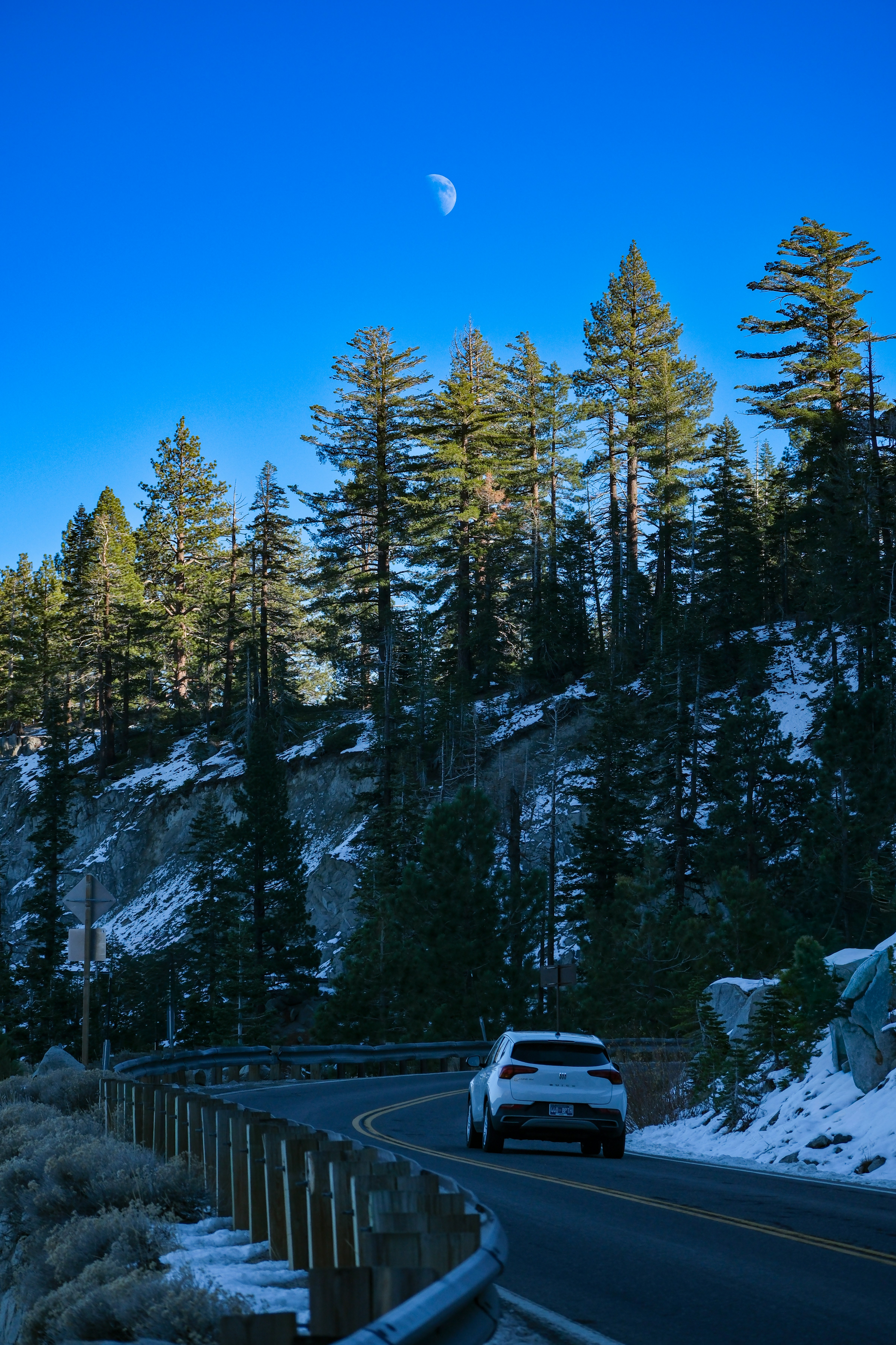 Moonlit Pines on a Winding Mountain Road