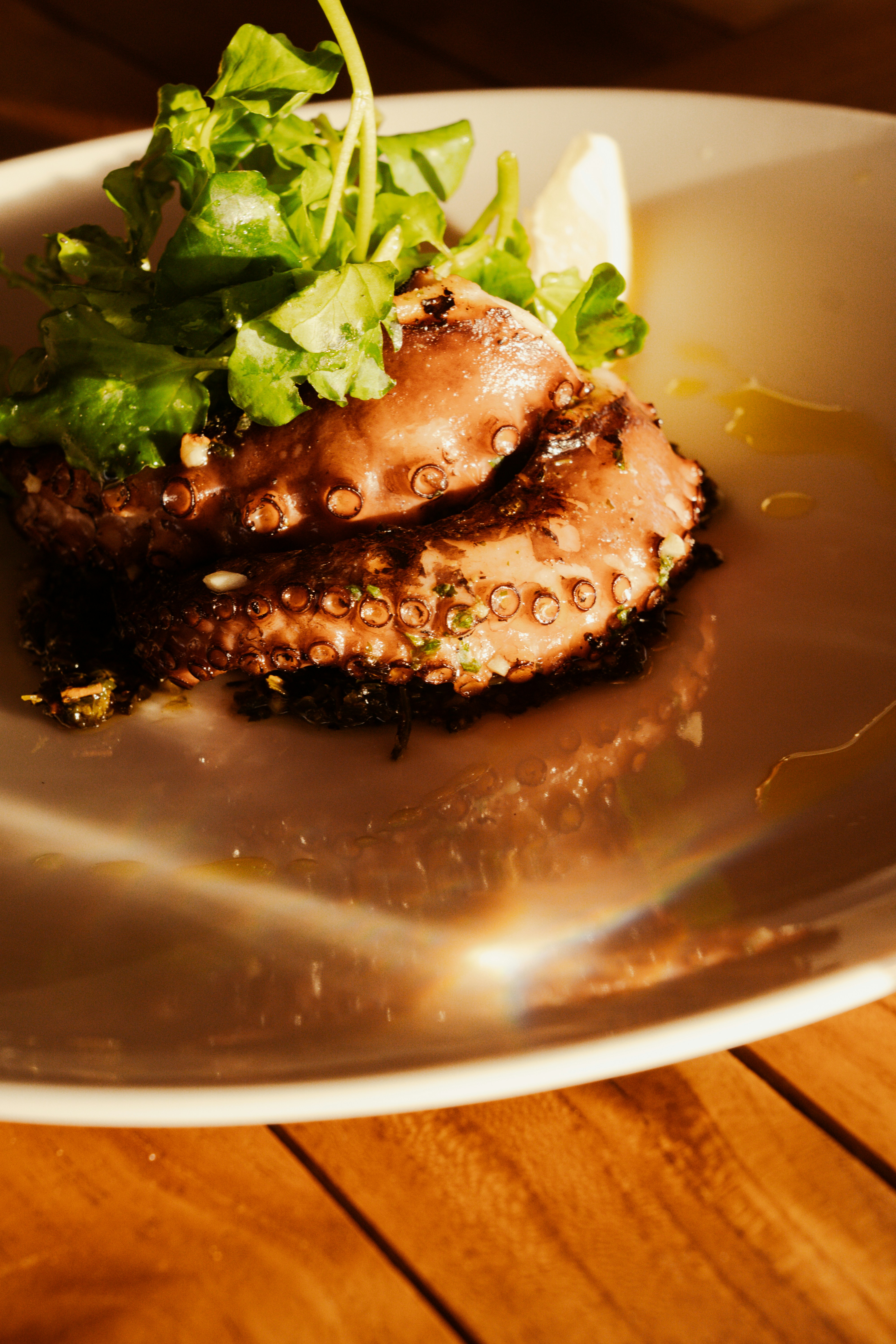 Charred Octopus Crescent: A Petite Dish of Tender Tentacles and Herb Garnish