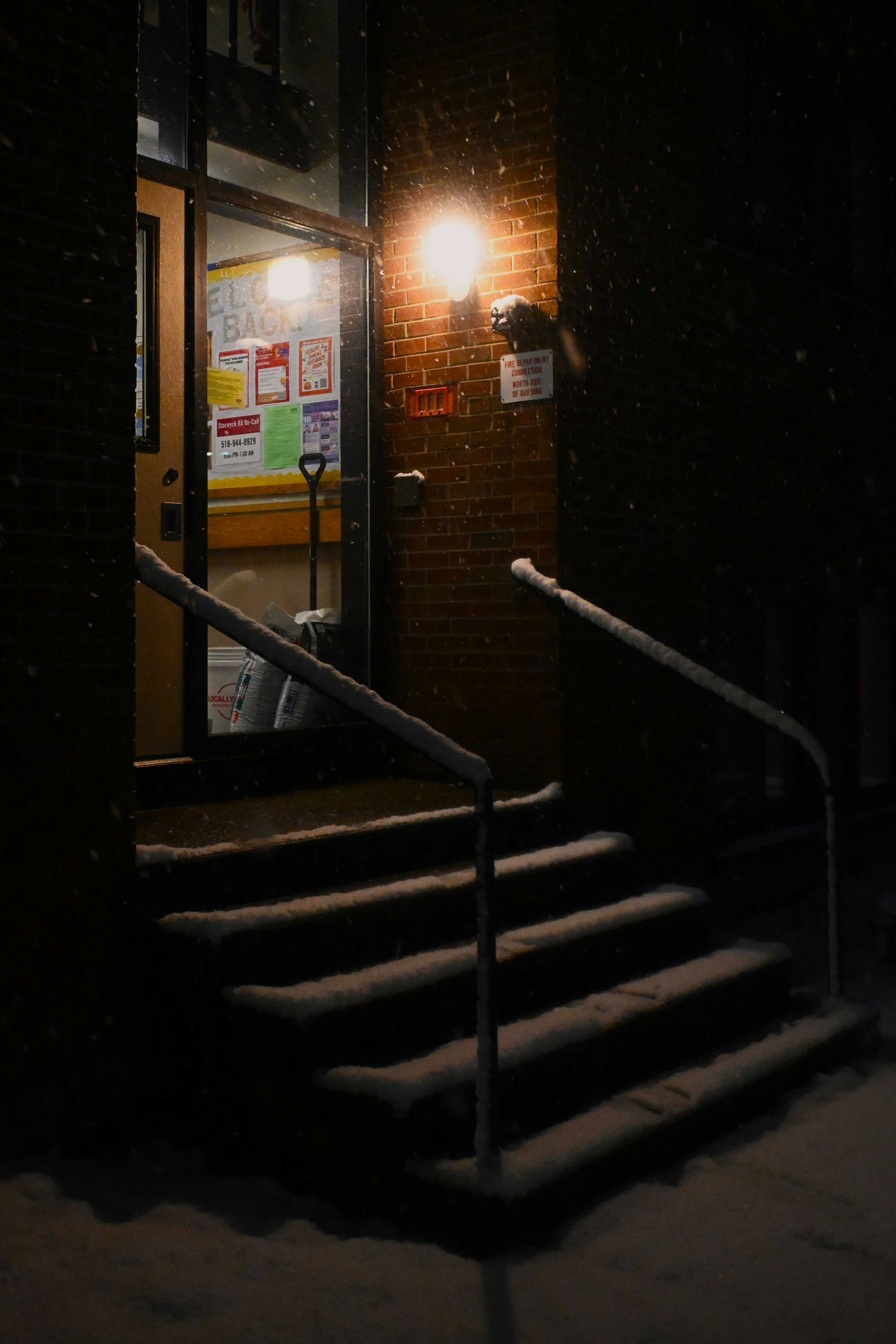 Photo by Lancelot Morningstar with Nikon Z30