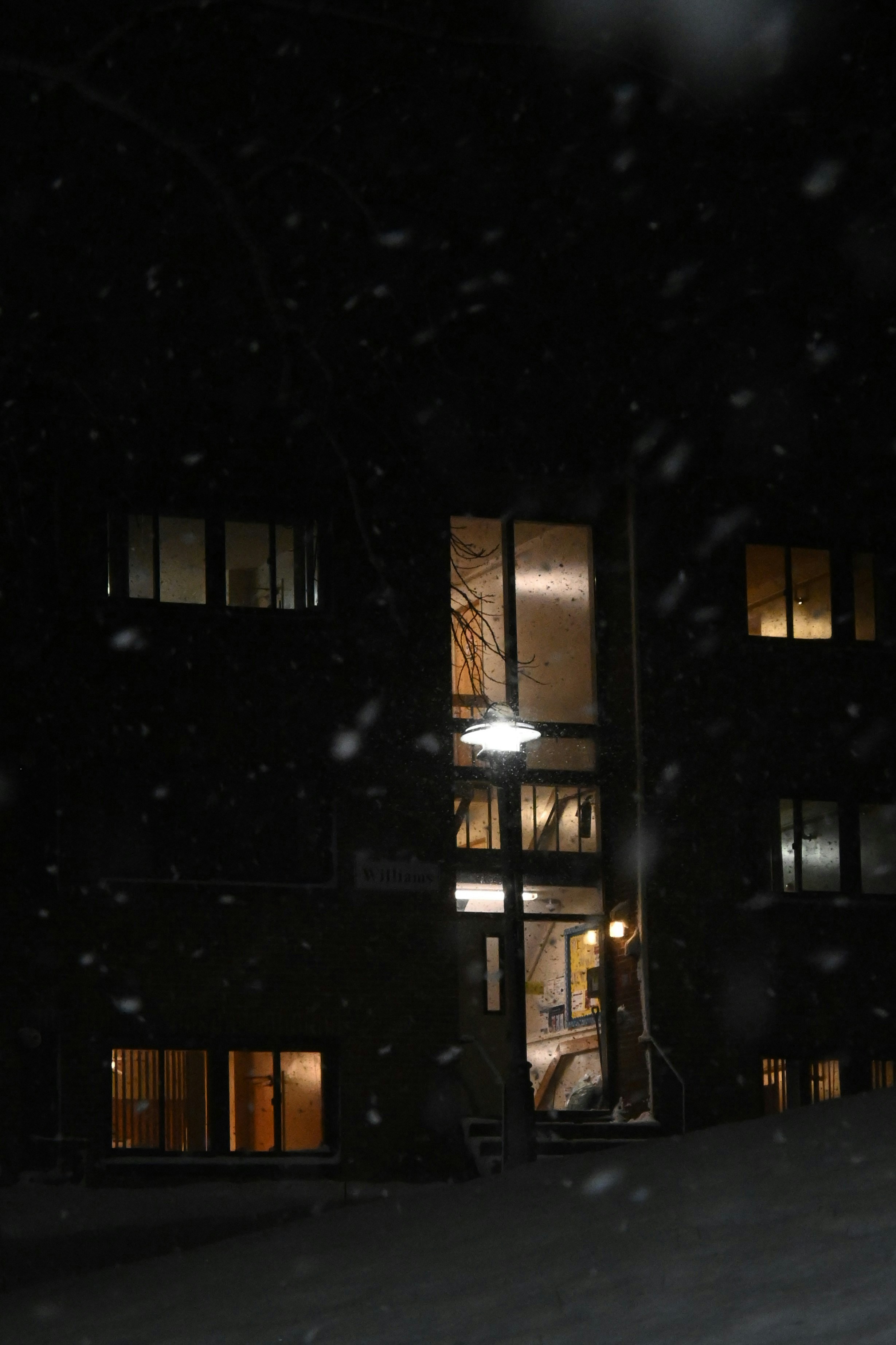 Photo by Lancelot Morningstar with Nikon Z30