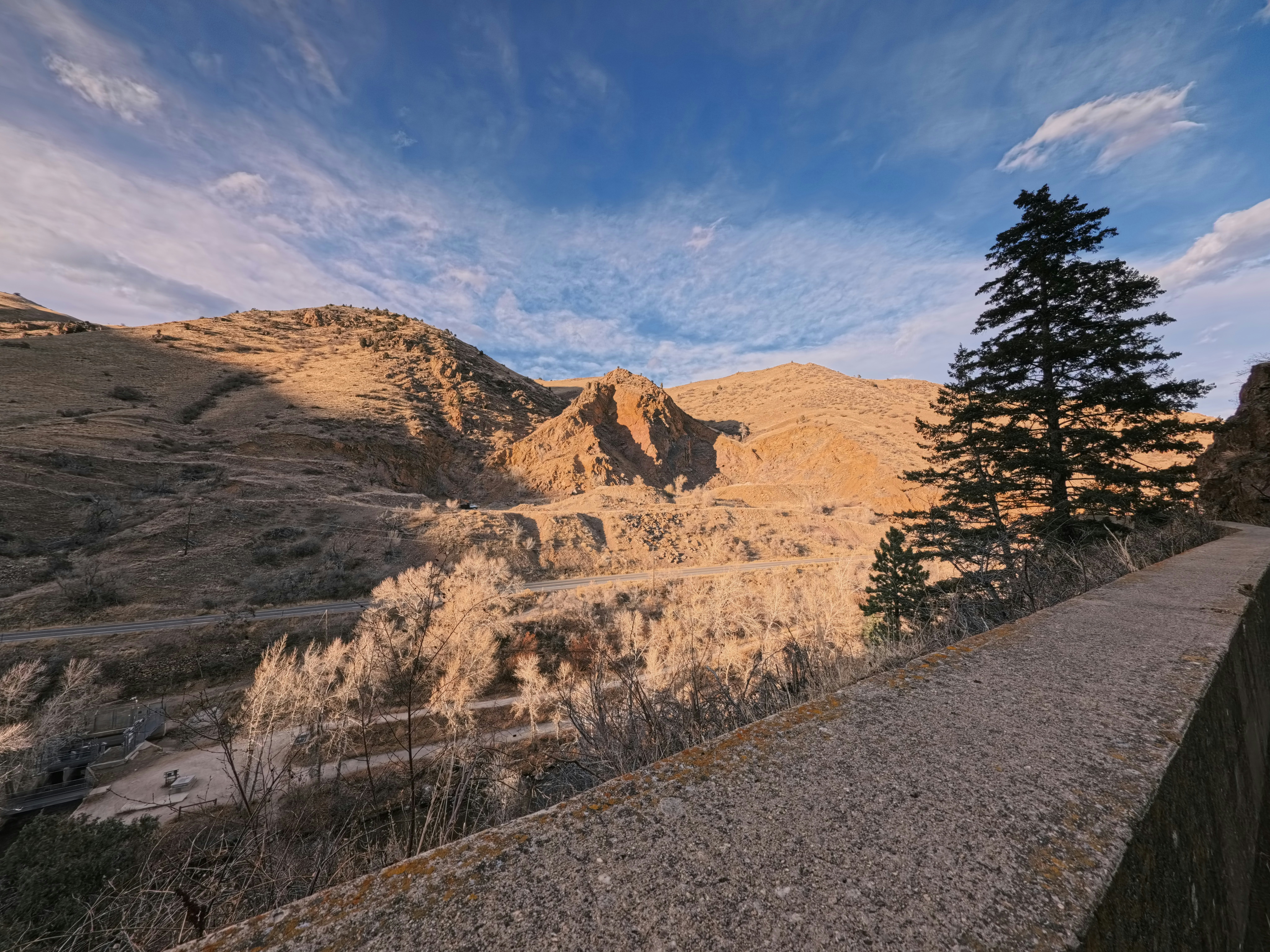 Sunlit mountains with a lone pine tree and path.