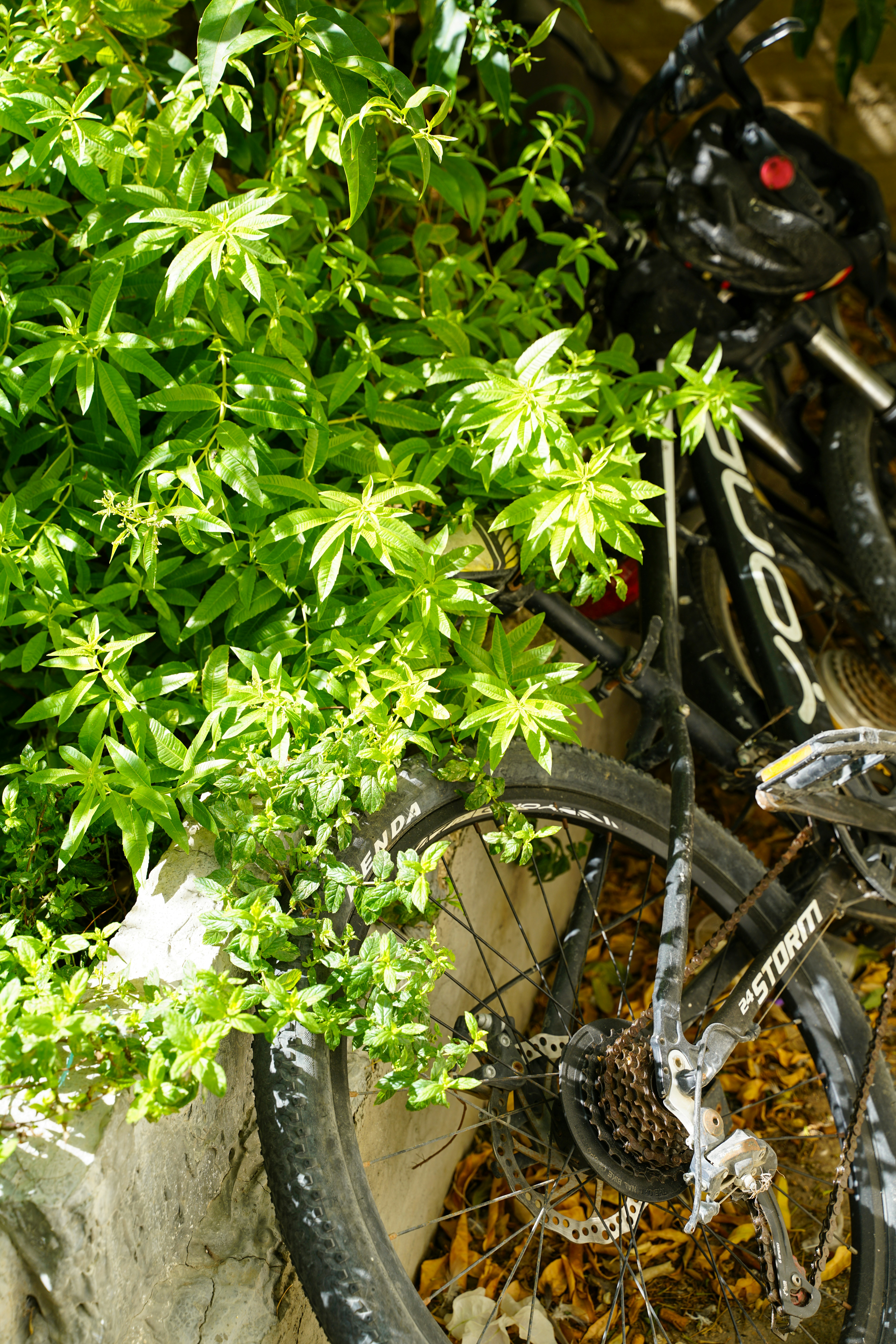 Photo by George 🦅 with Sony Alpha 7R II