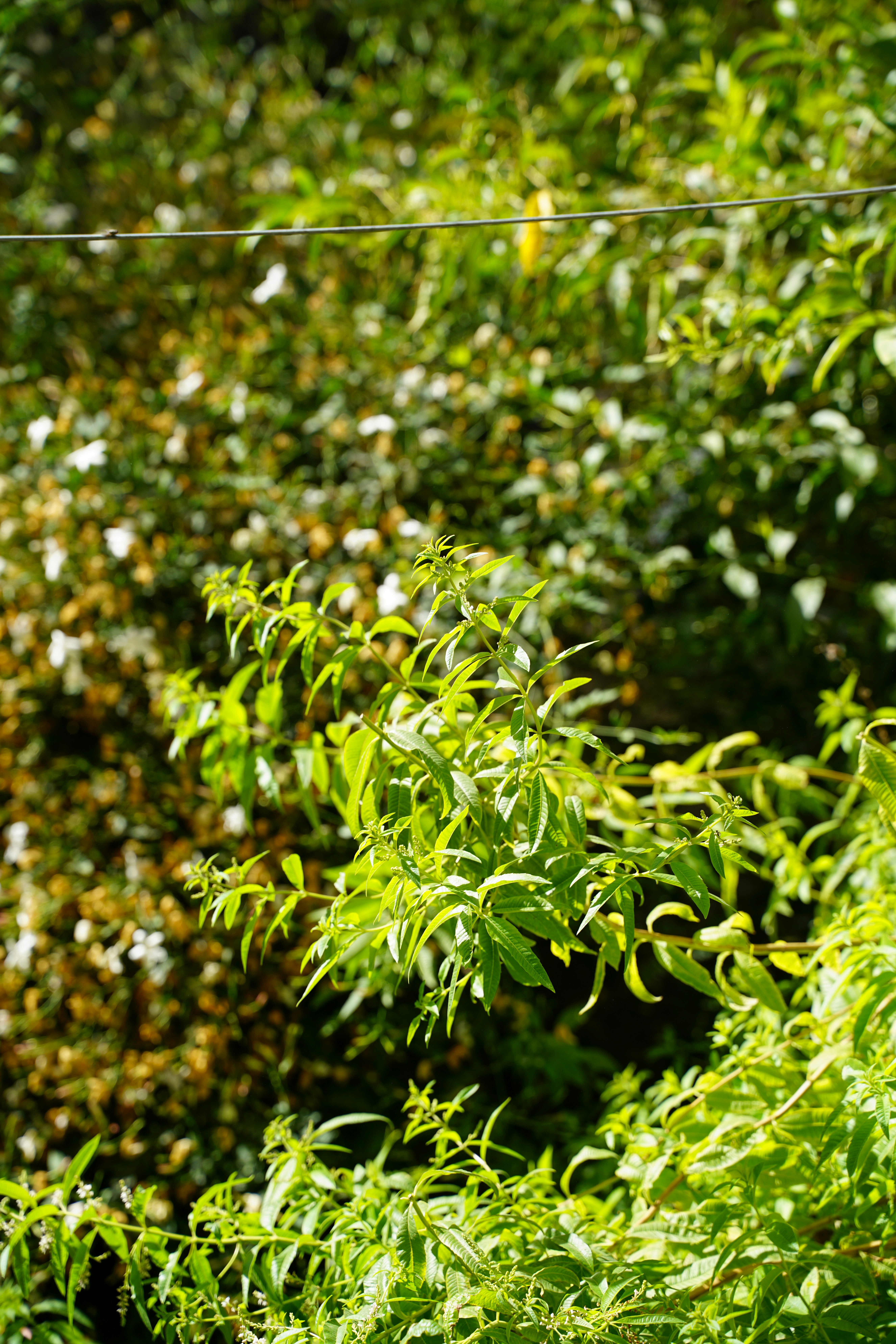 Photo by George 🦅 with Sony Alpha 7R II