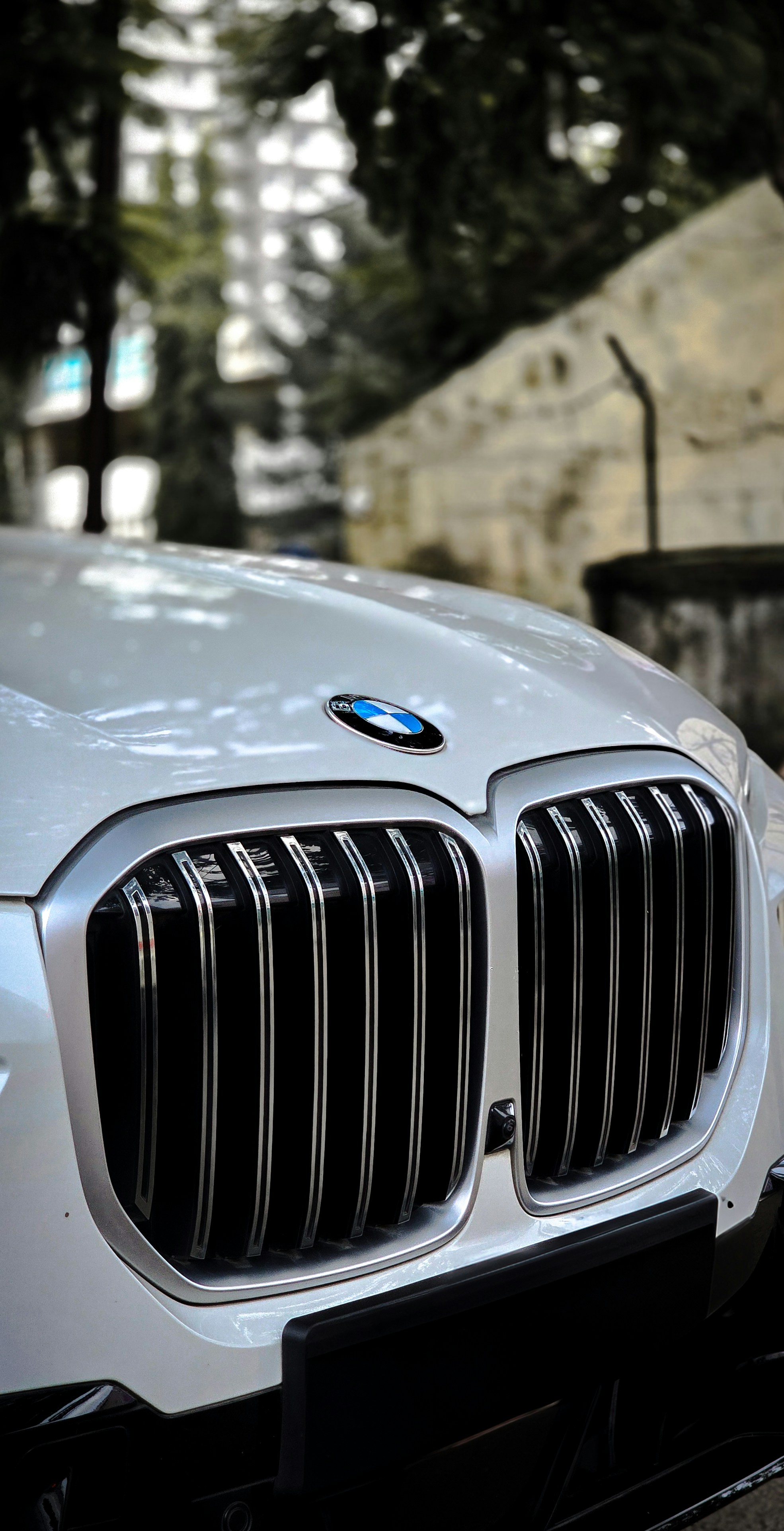 Chrome Grille Spotlight: A BMW Grille Close-Up