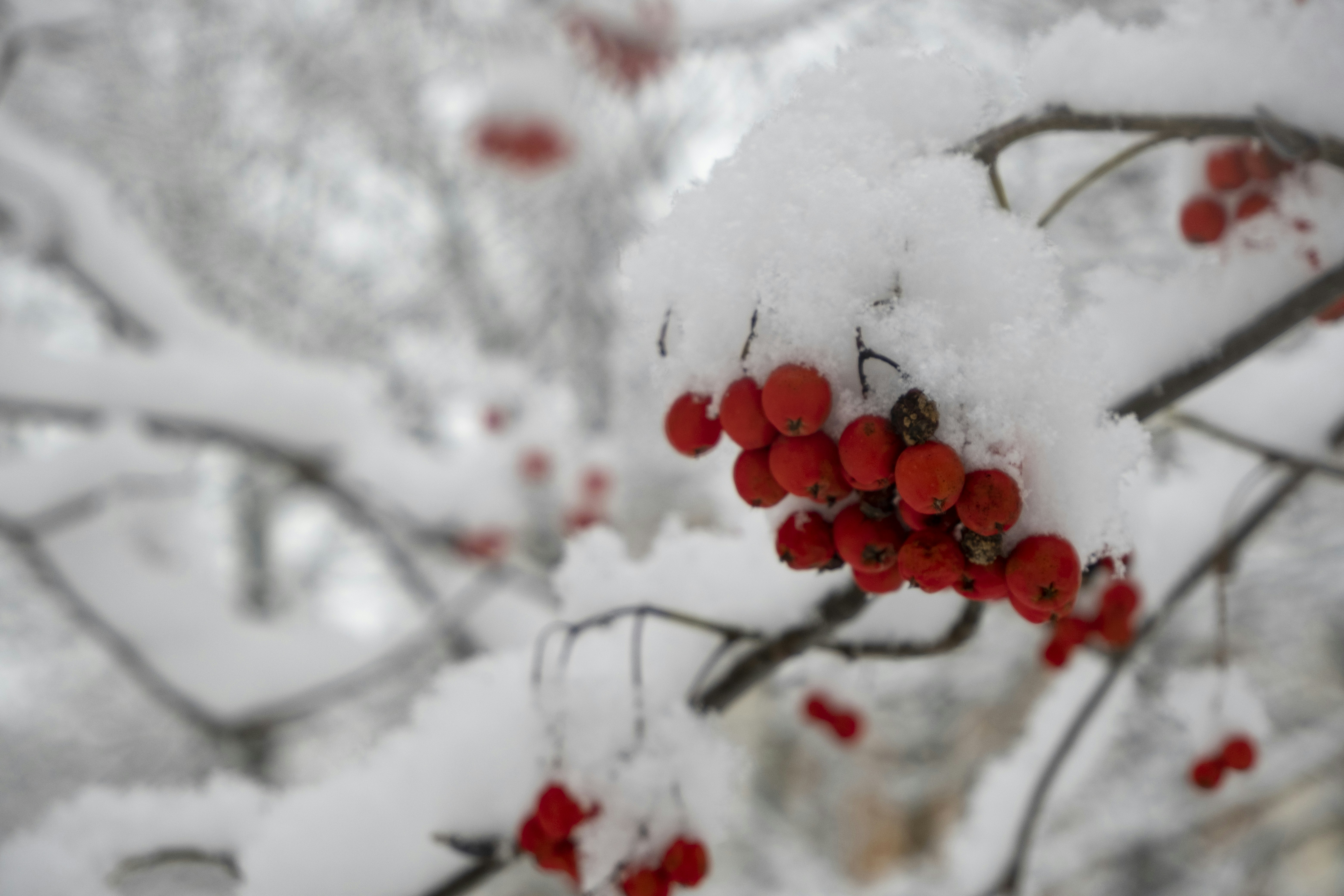 Photo by Maria Baranova with Fujifilm X-T30