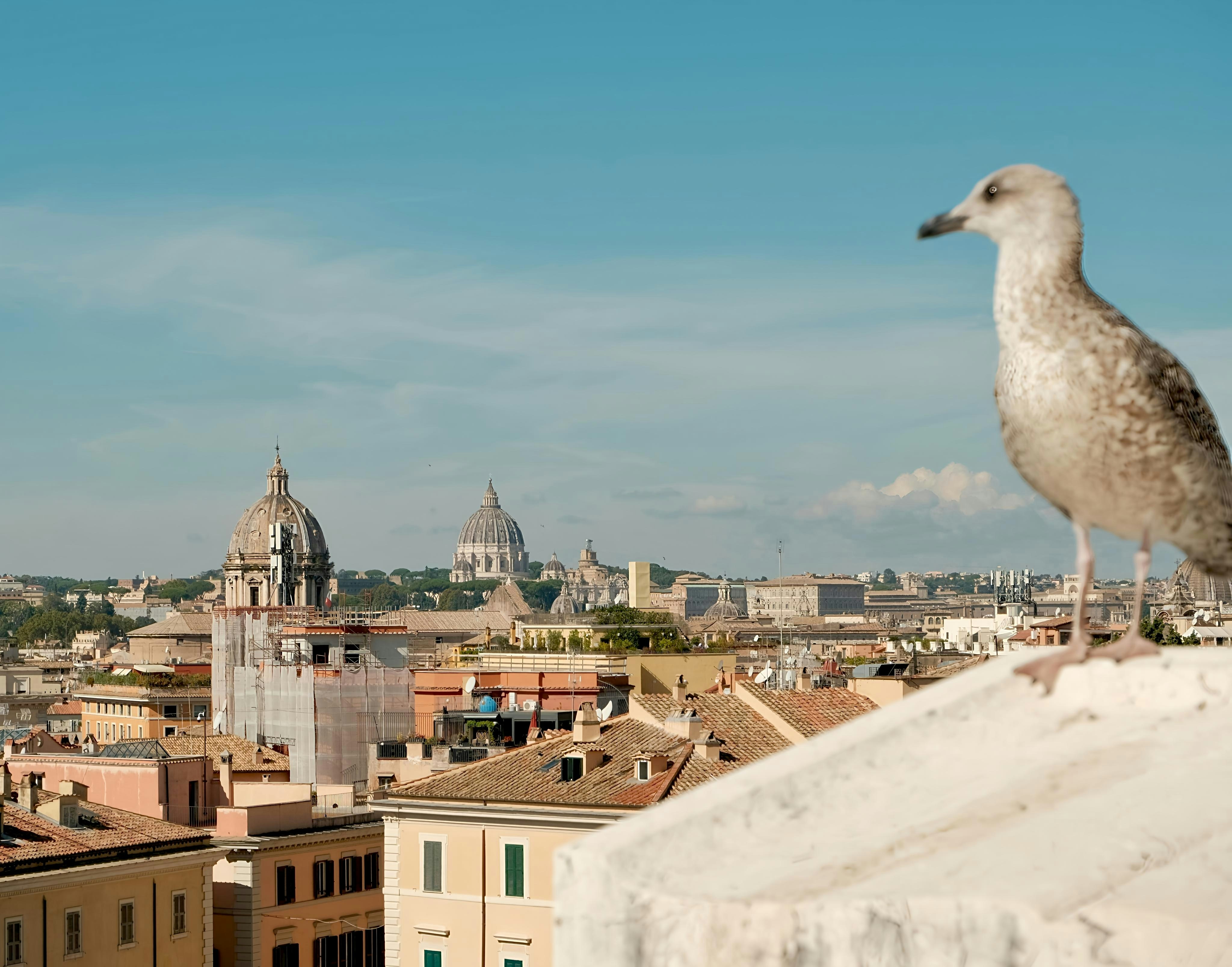 Photo by Jenya Shportiak with Fujifilm X-T30 II