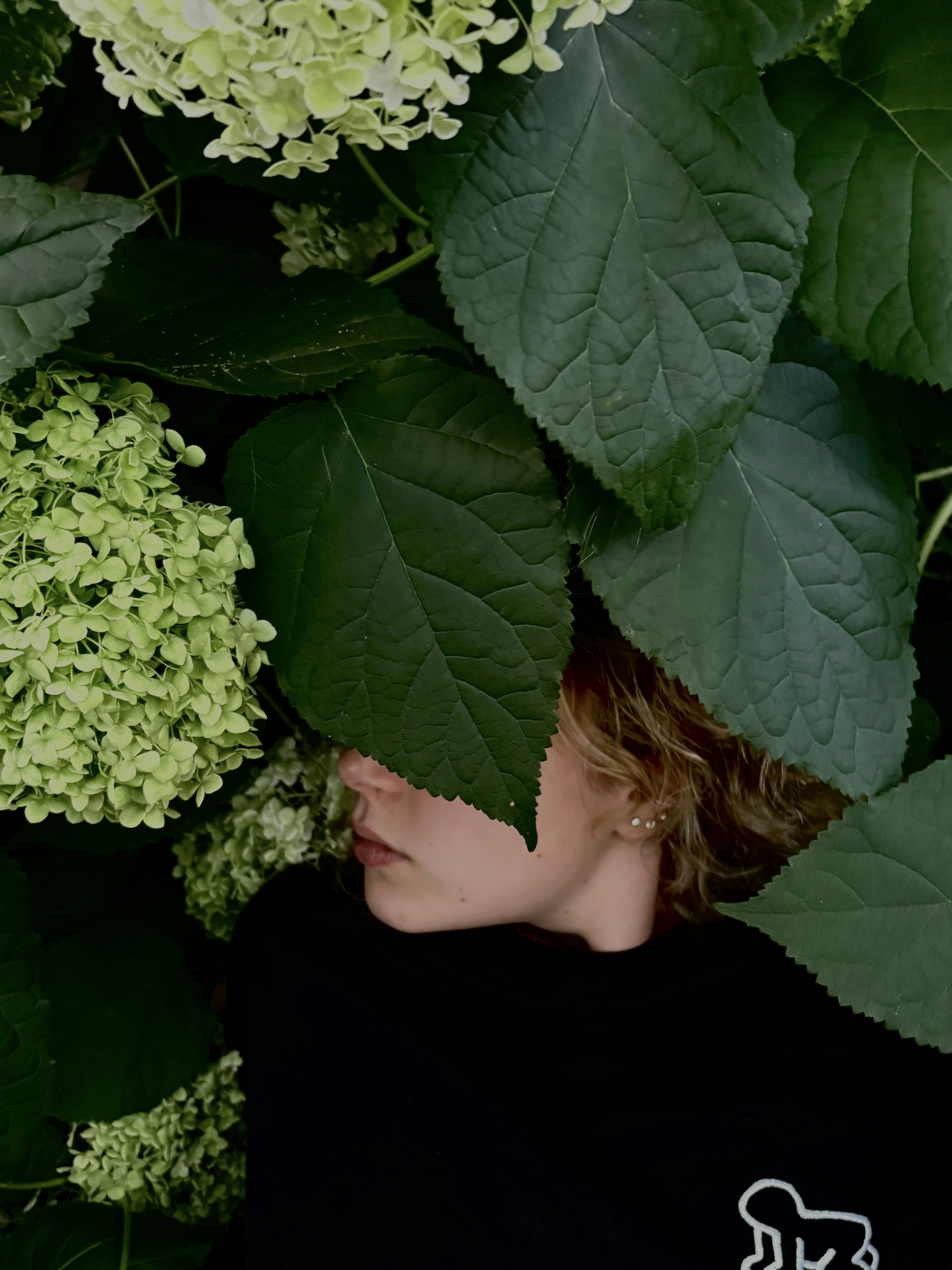 A person partially hidden by large green leaves and flowers. photo ...