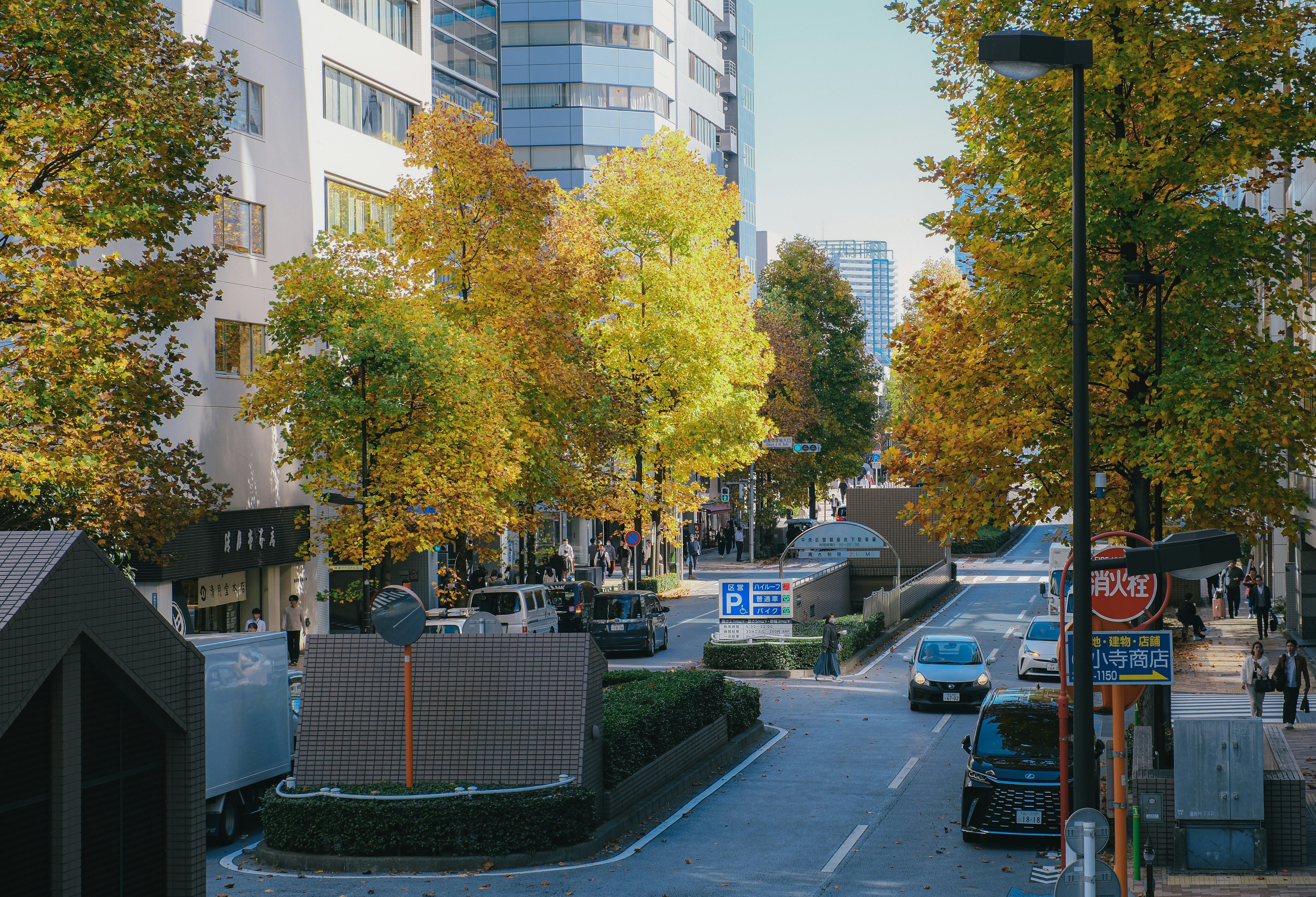 Photo by Huy Phan with Fujifilm X-S20