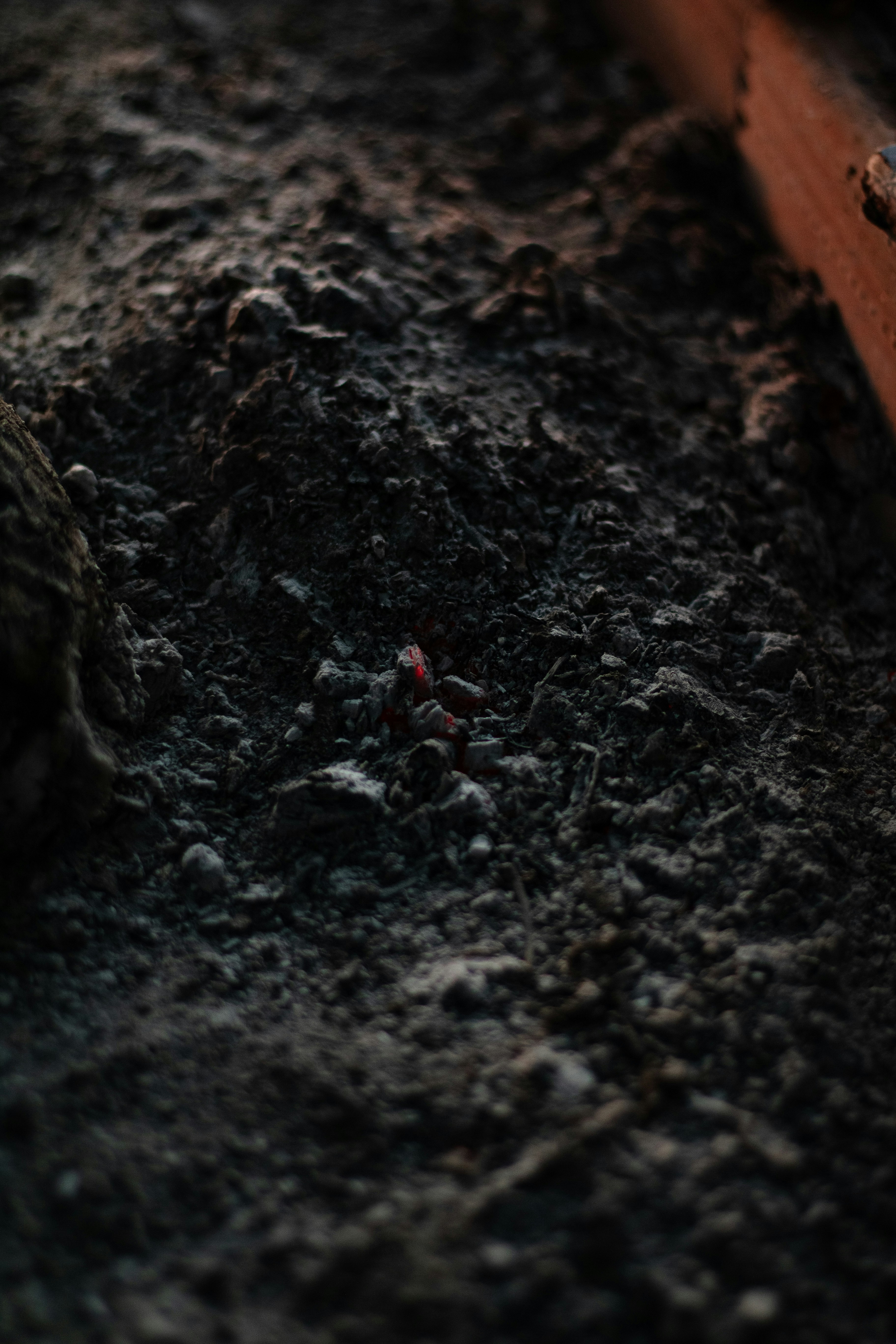 Charred Ground Secrets: A Sliver of Red Emerges from the Ashes