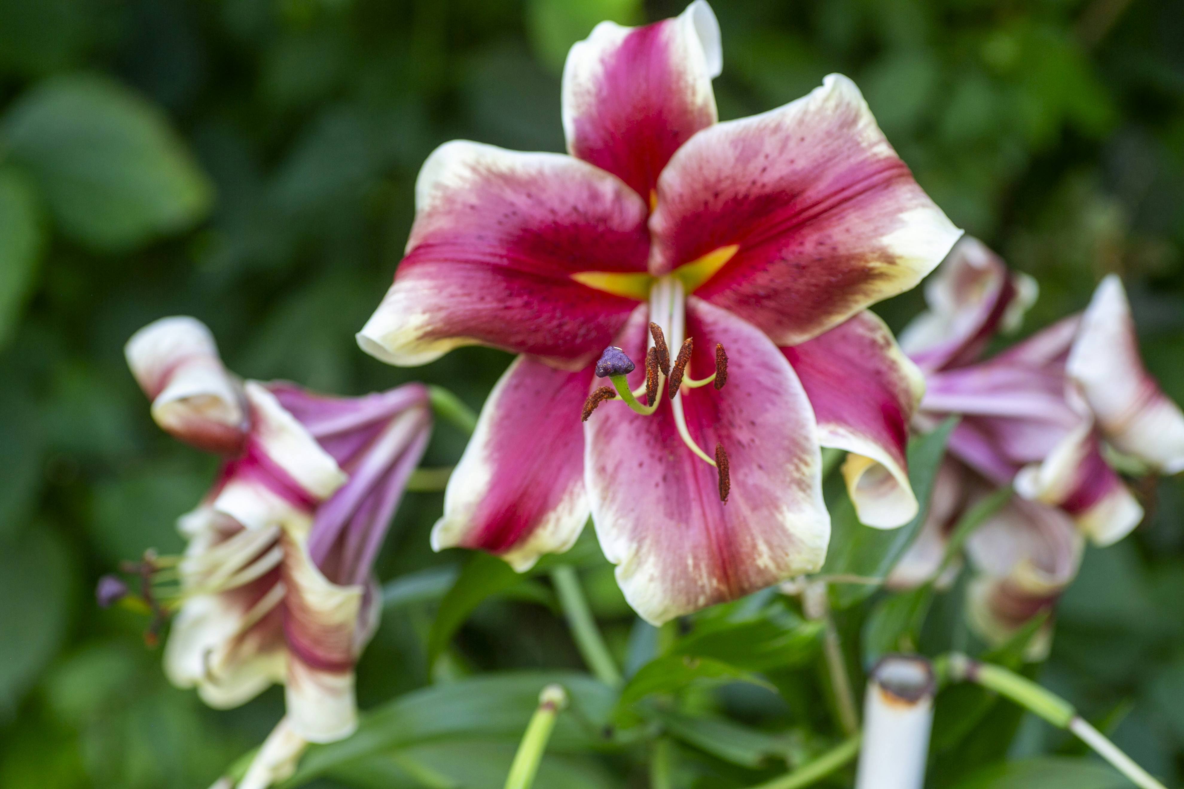 Photo by Anna K with Canon EOS 5D Mark III