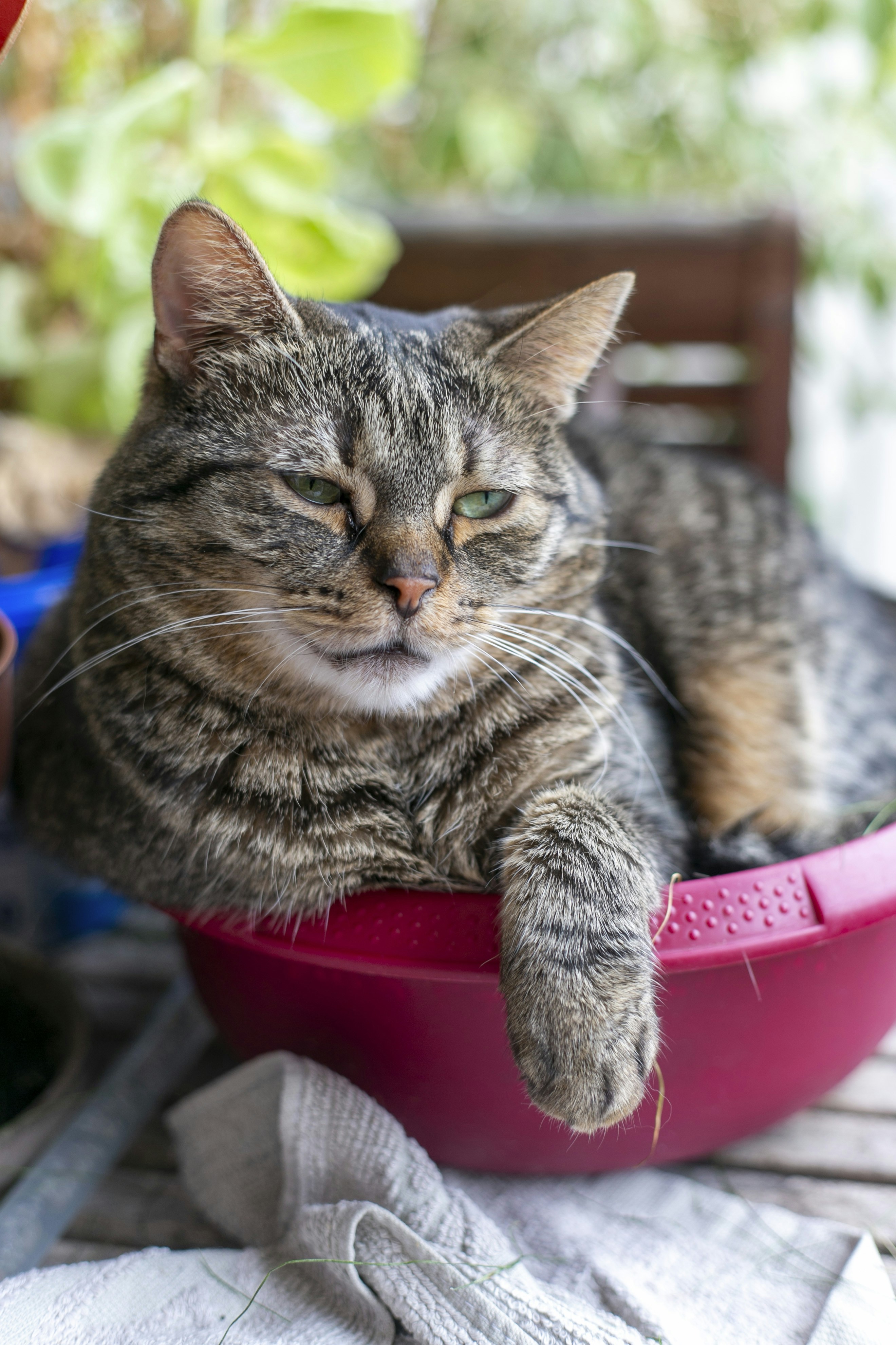 Photo by Anna K with Canon EOS 5D Mark III