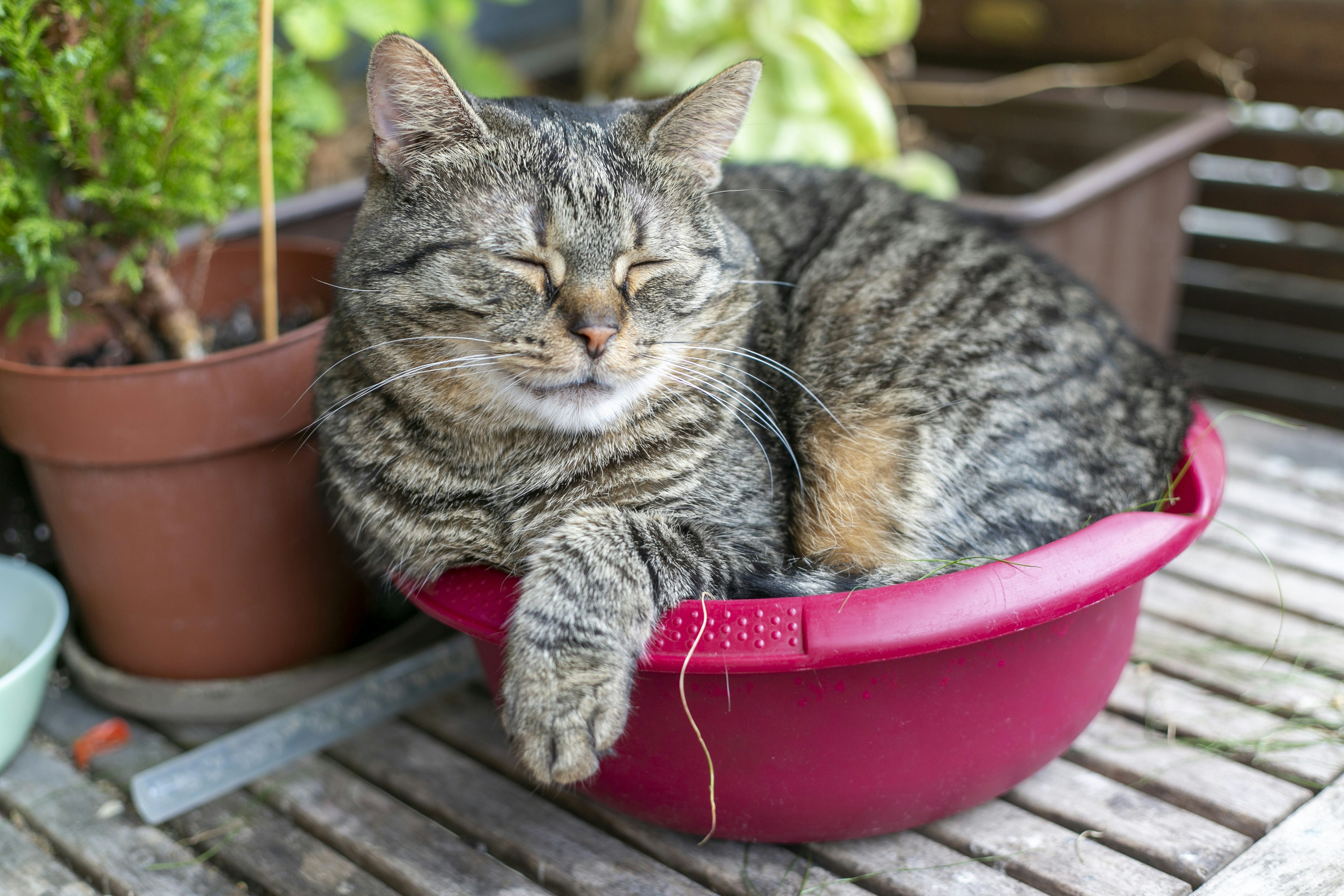 Photo by Anna K with Canon EOS 5D Mark III