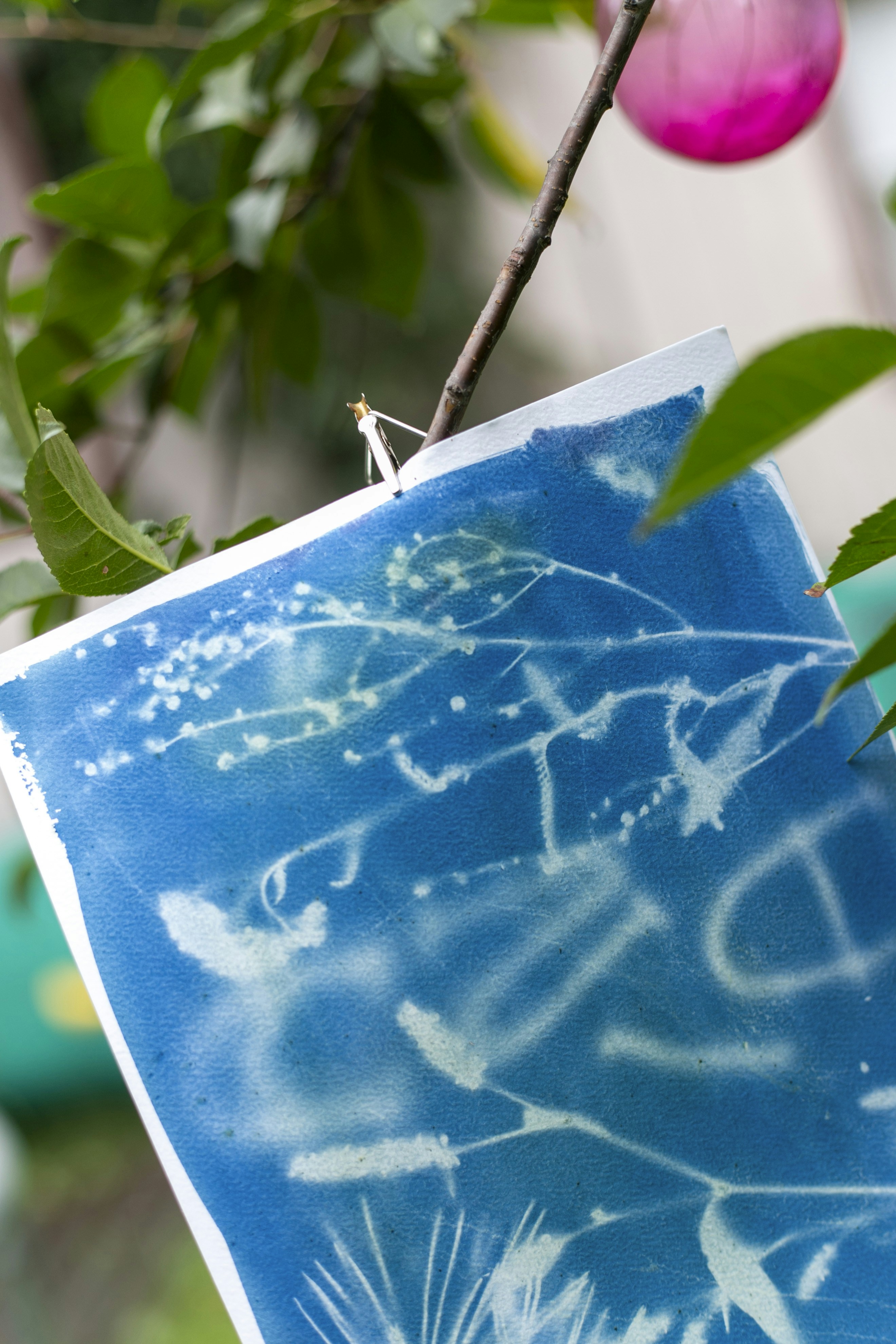 Chalkboard Blossoms: A Garden Gallery of Notes