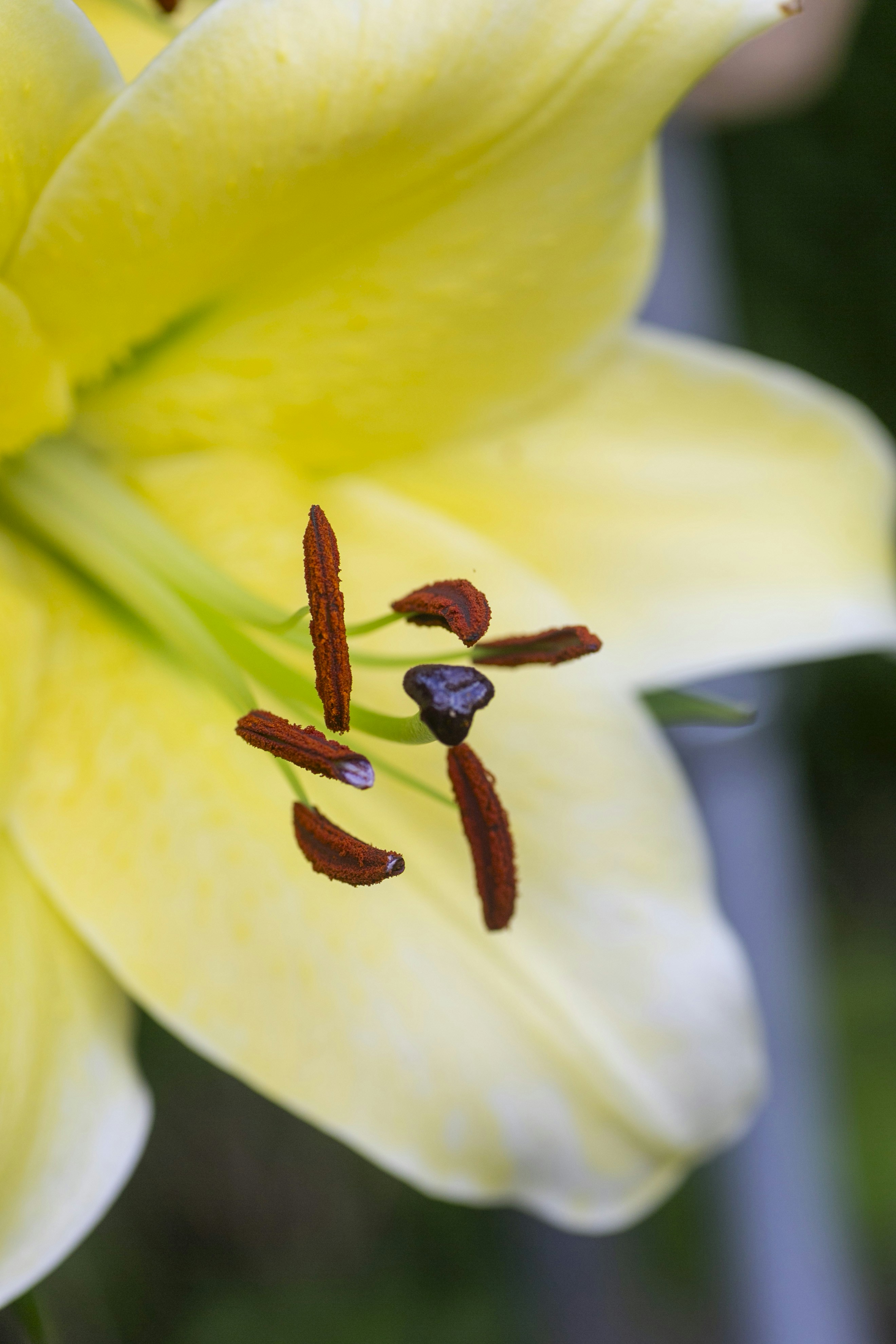 Photo by Anna K with Canon EOS 5D Mark III