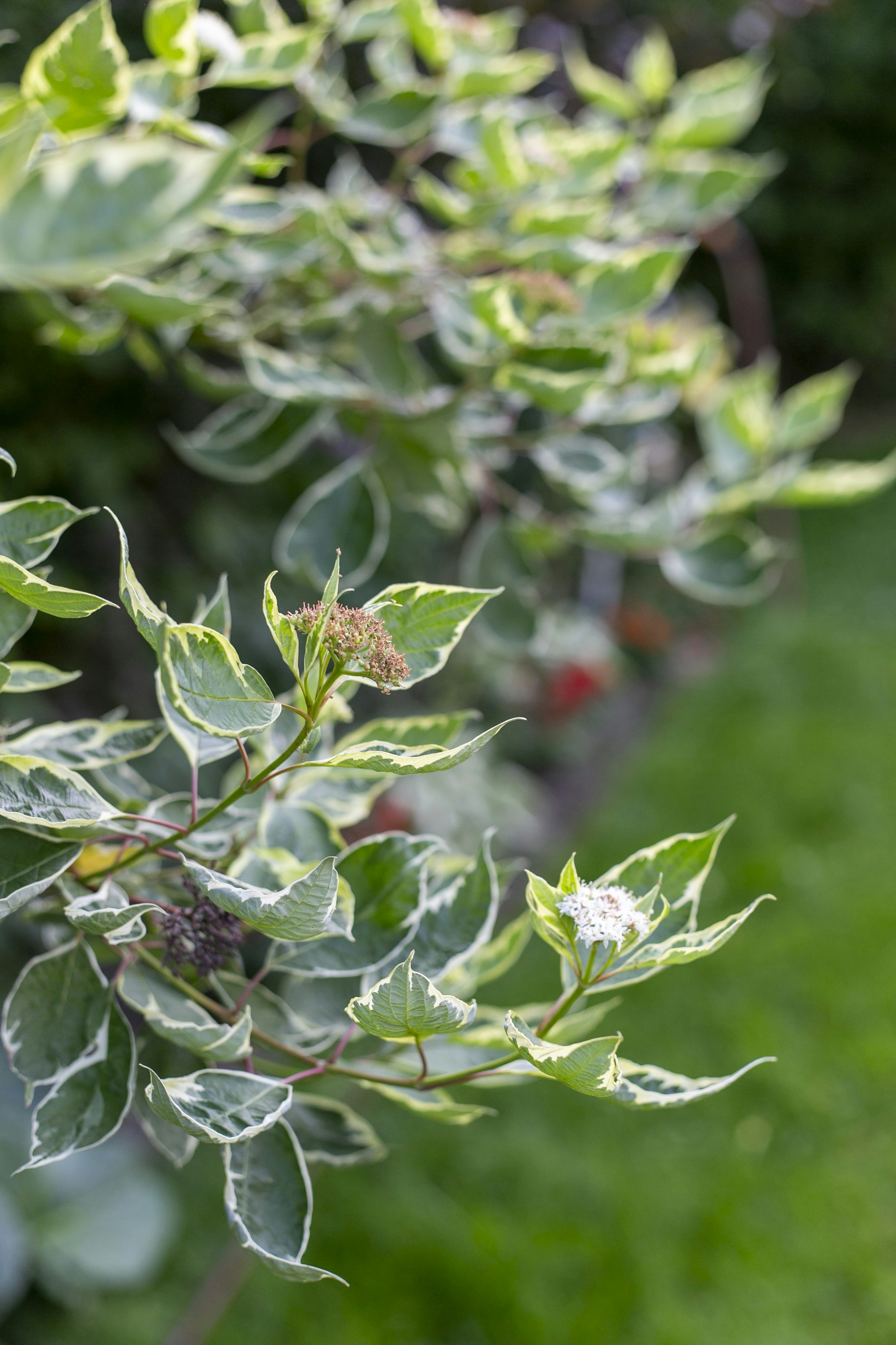 Photo by Anna K with Canon EOS 5D Mark III