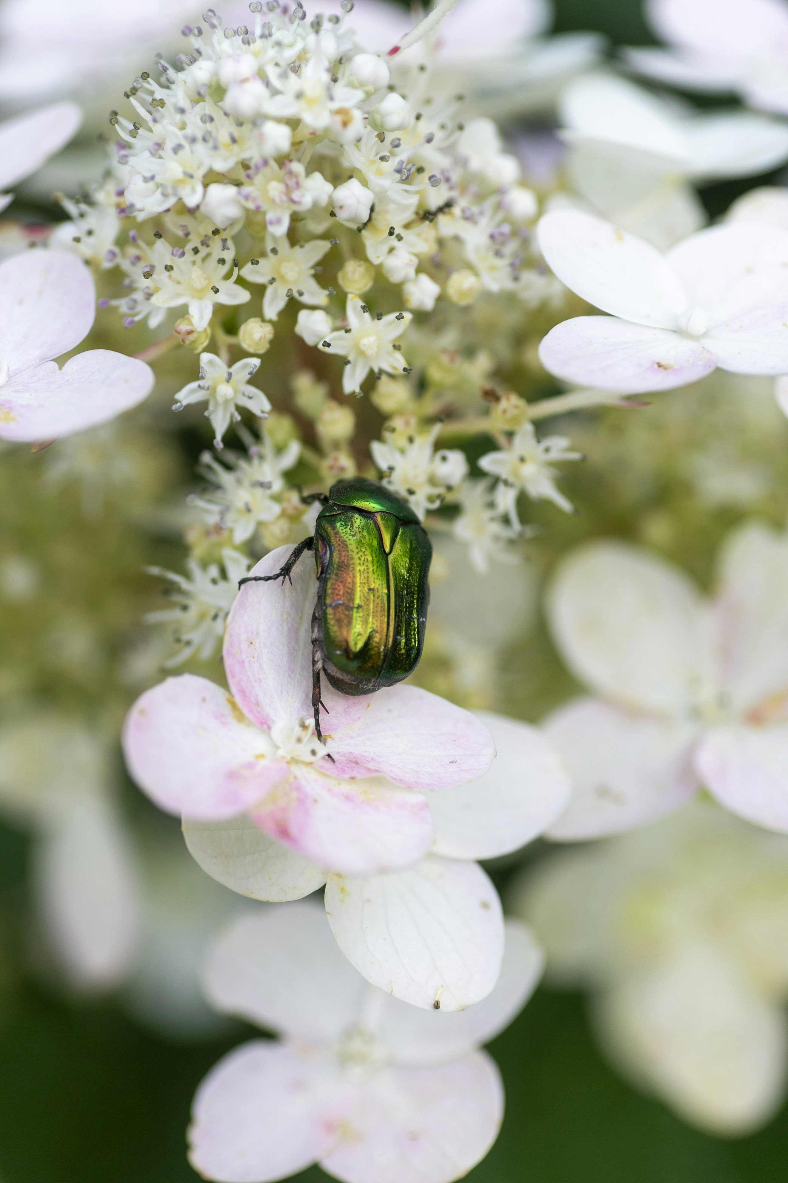 Photo by Anna K with Canon EOS 5D Mark III