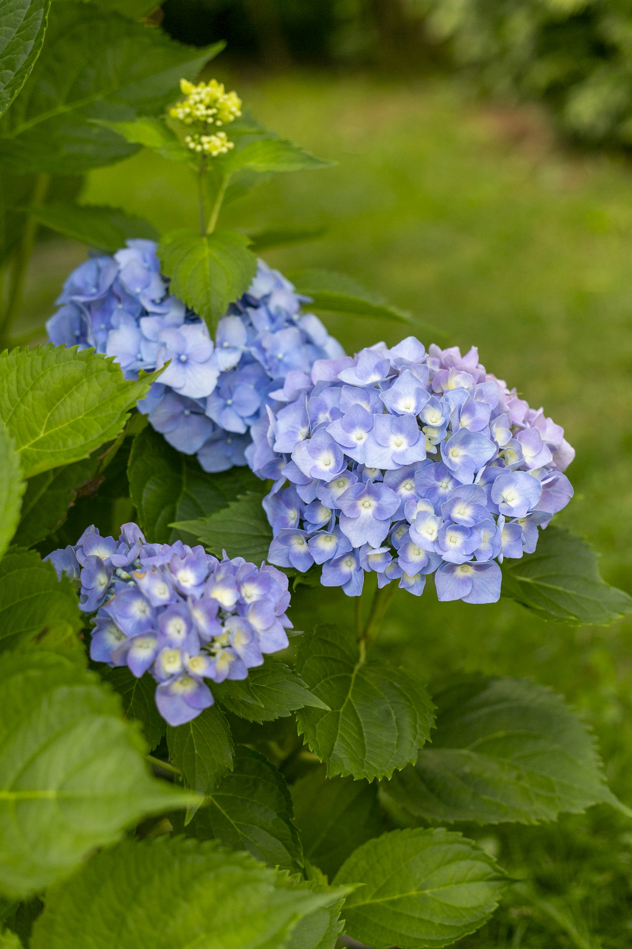 Photo by Anna K with Canon EOS 5D Mark III