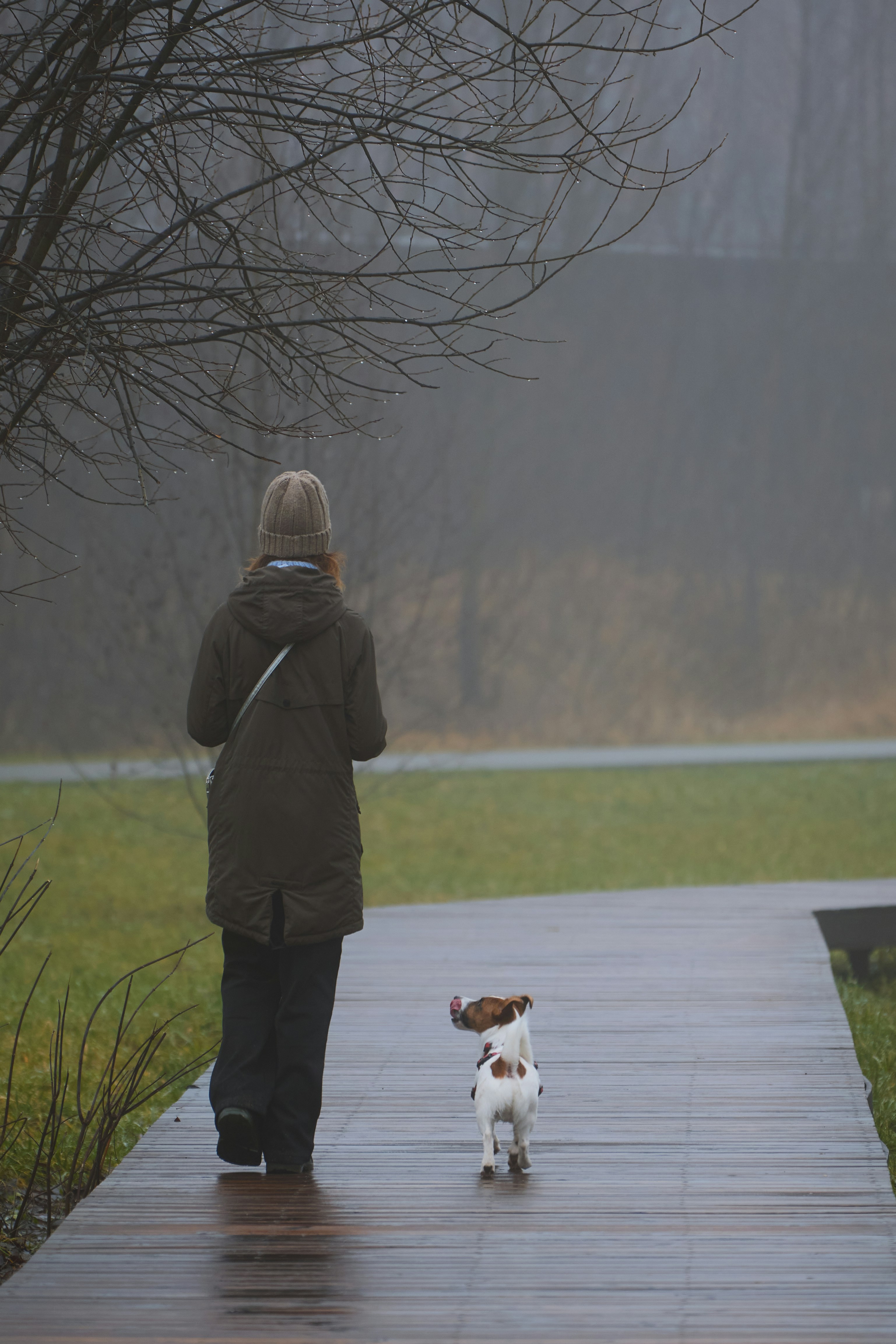 Photo by Maxim Tolchinskiy with Sony Alpha 7 III