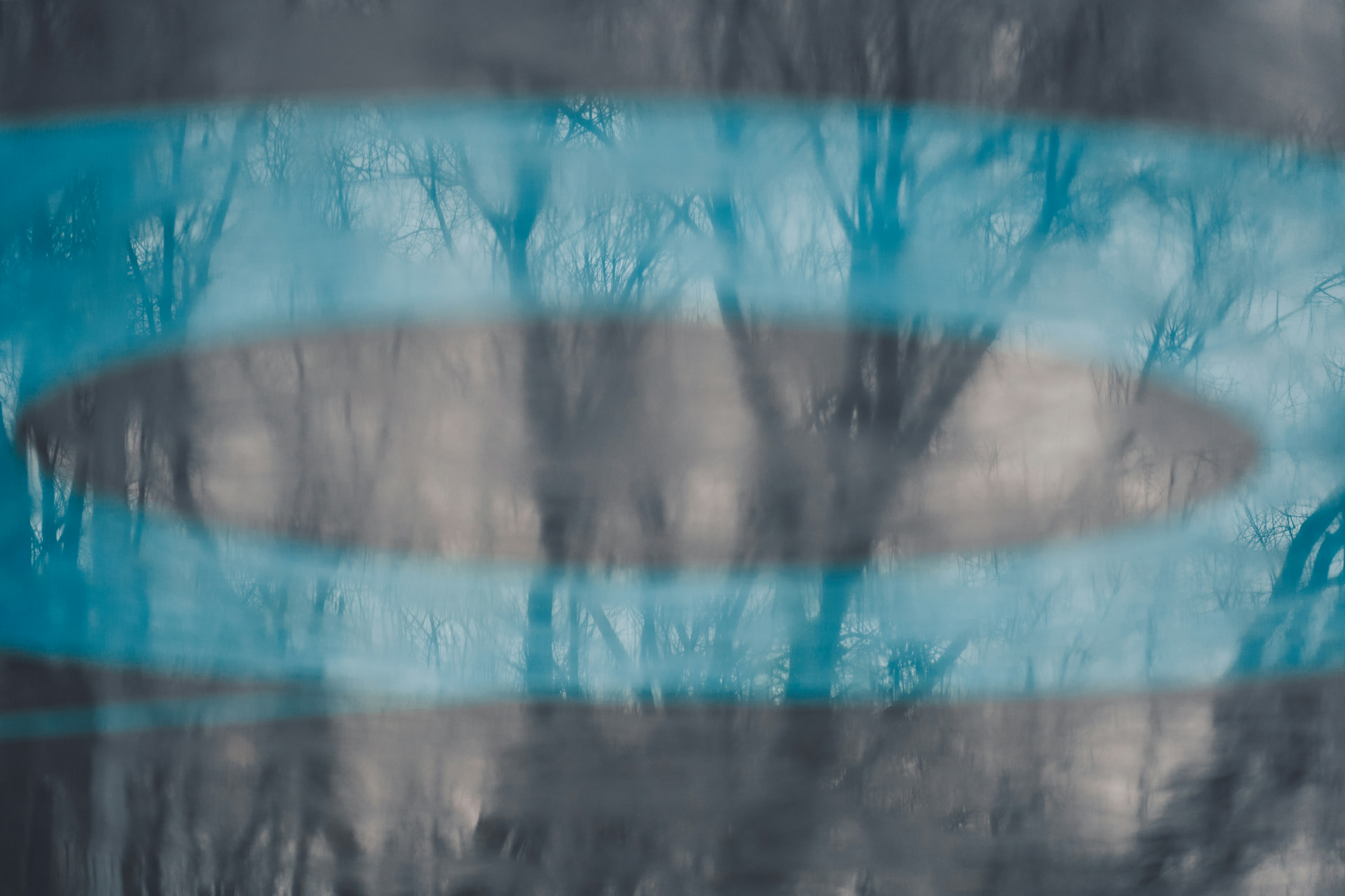 Photo by Maxim Tolchinskiy with Sony Alpha 7 III