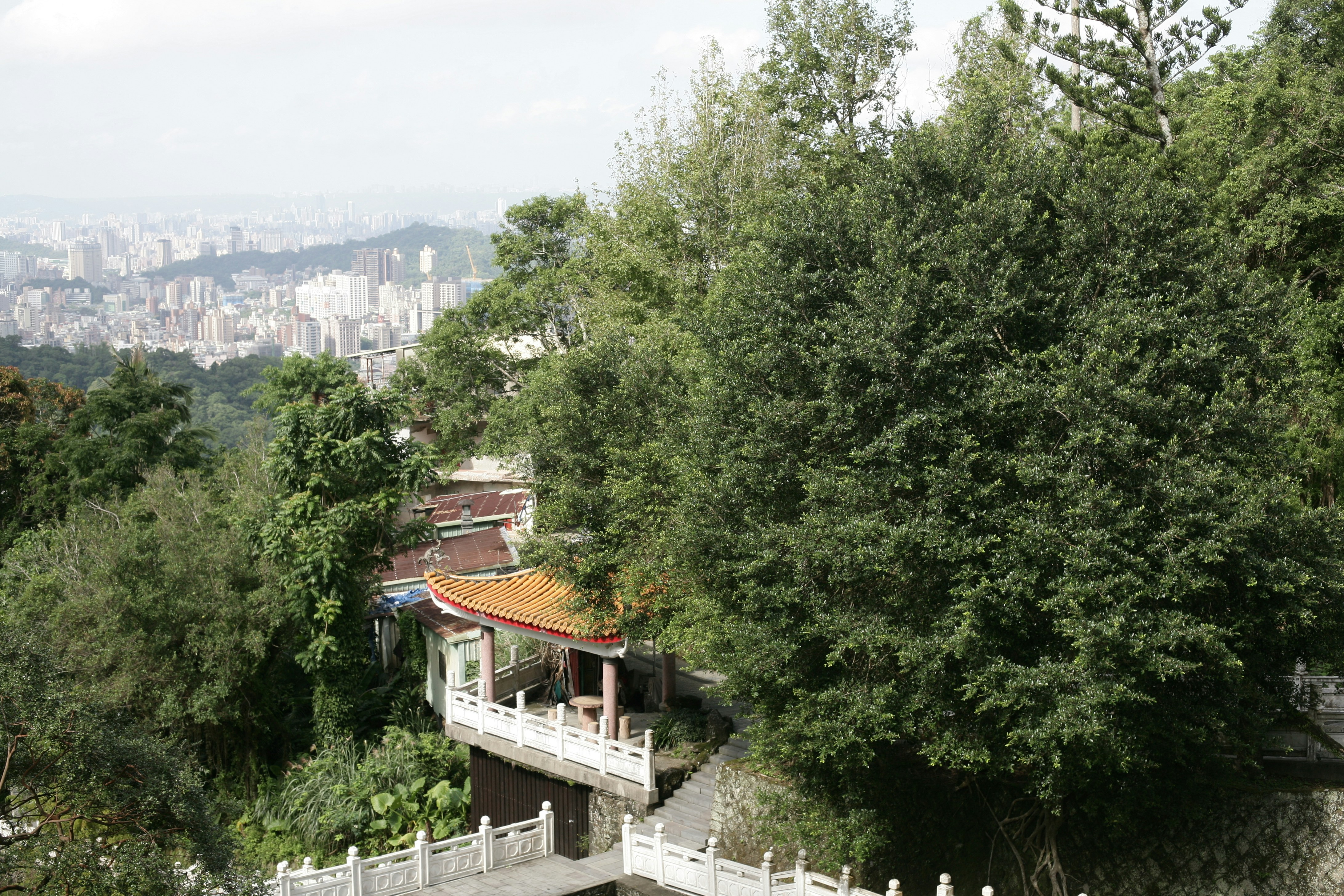 Temple Perimeter Amid Tall Trees Overlooking a Cityscape