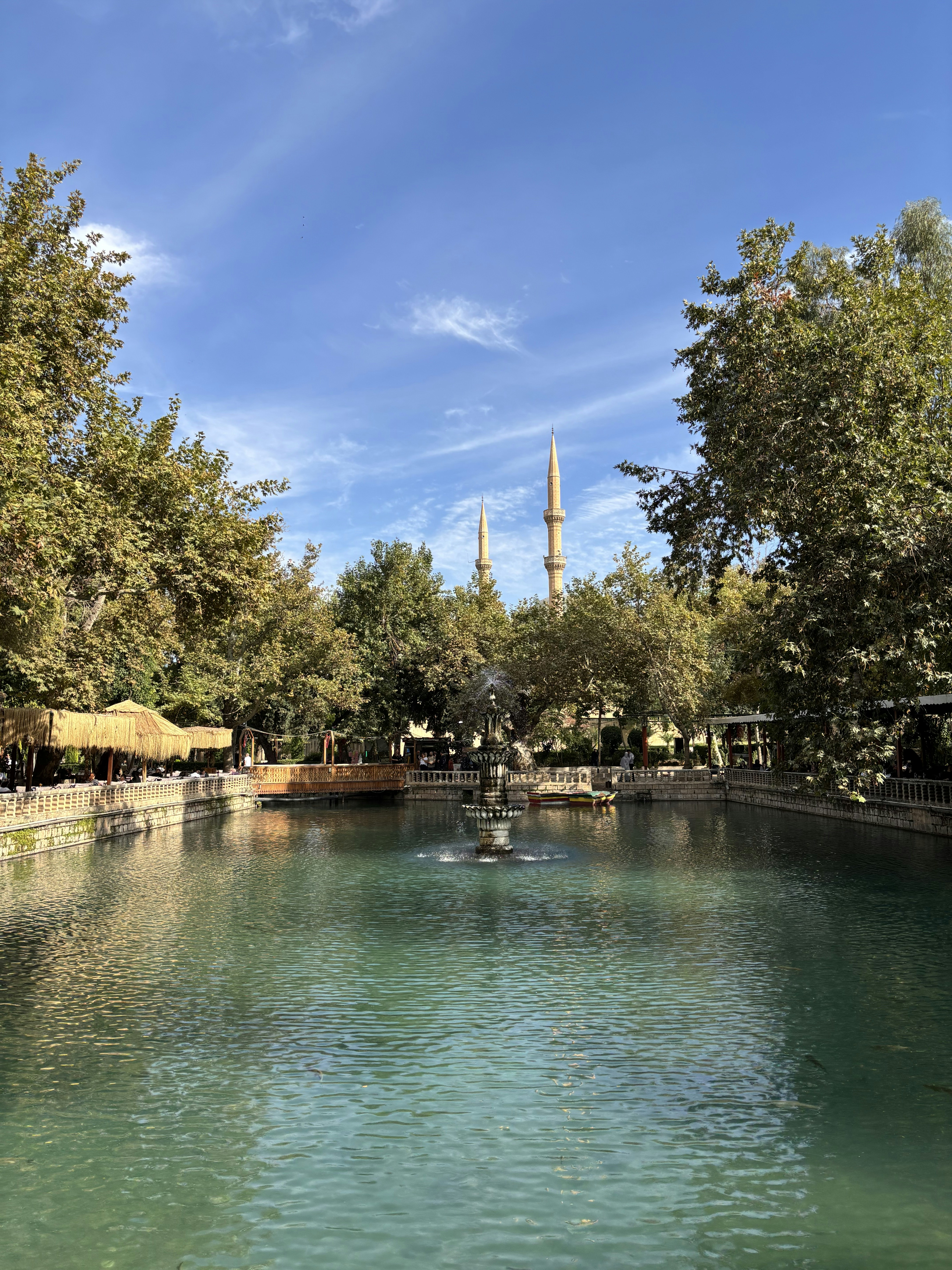 Twin Minarets Above a Serene City Oasis