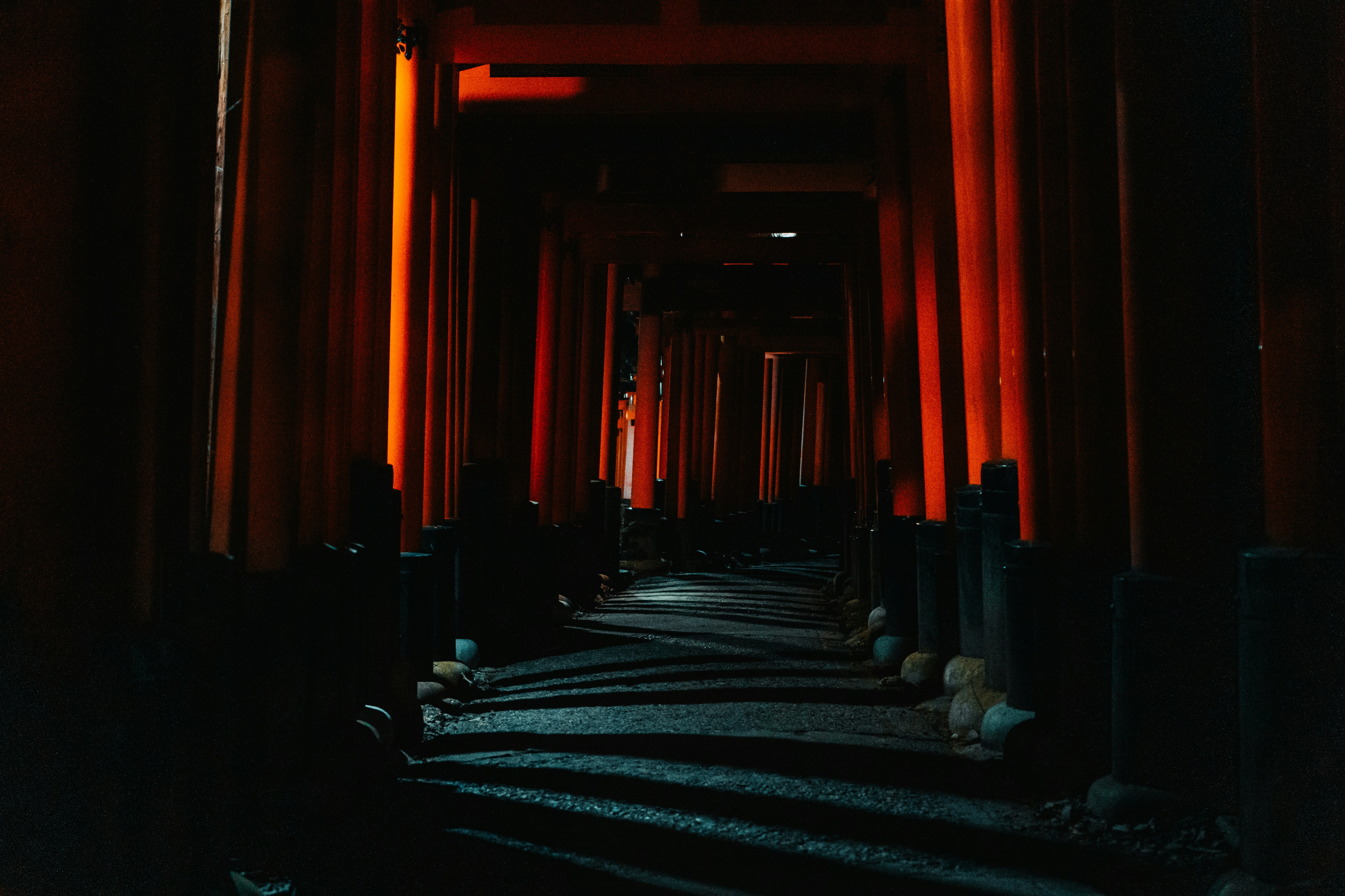 Pathway through vibrant orange torii gates photo – Free Japan Image on ...