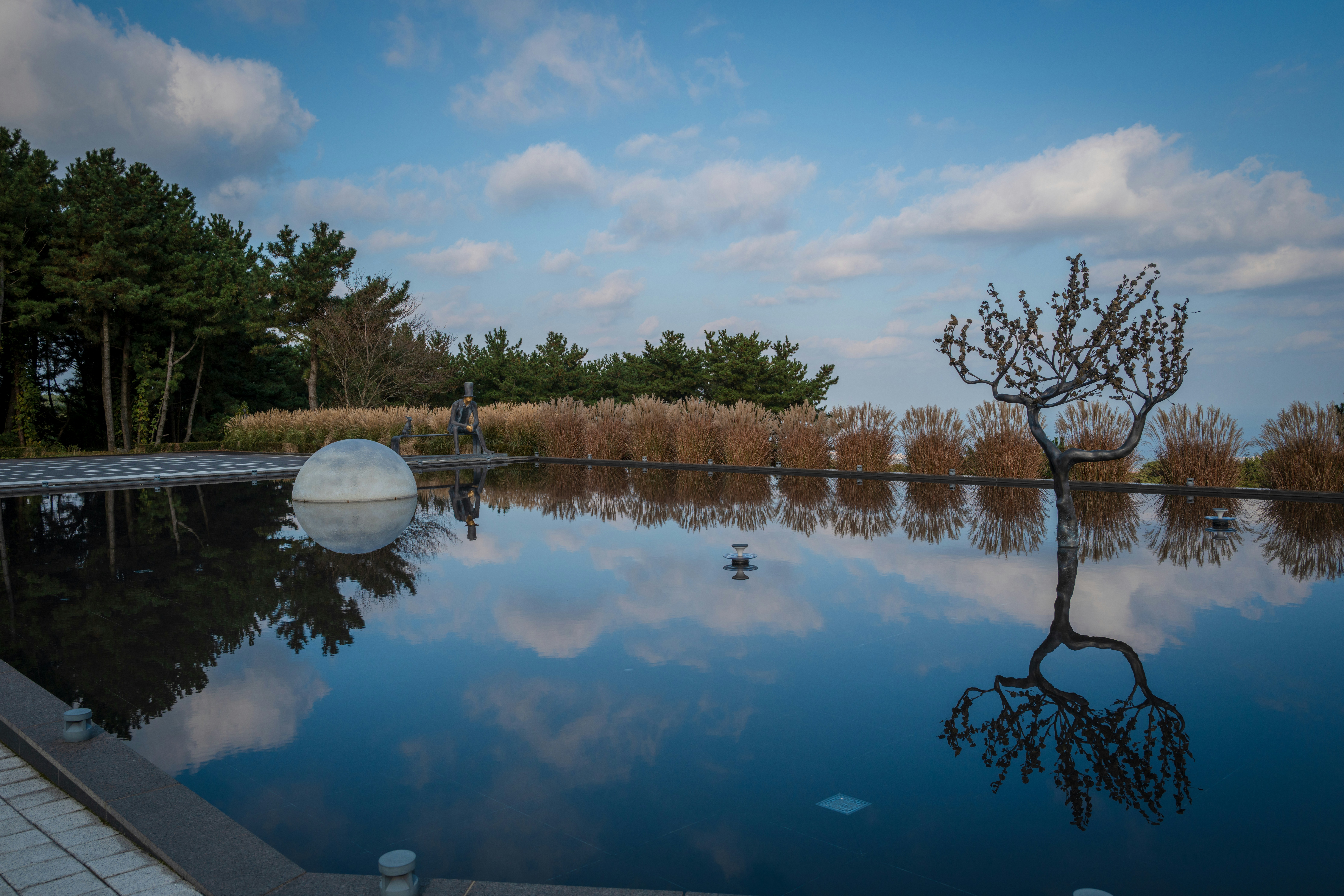 Still Waters, Shifting Sky: A Quiet Lakeside Symmetry