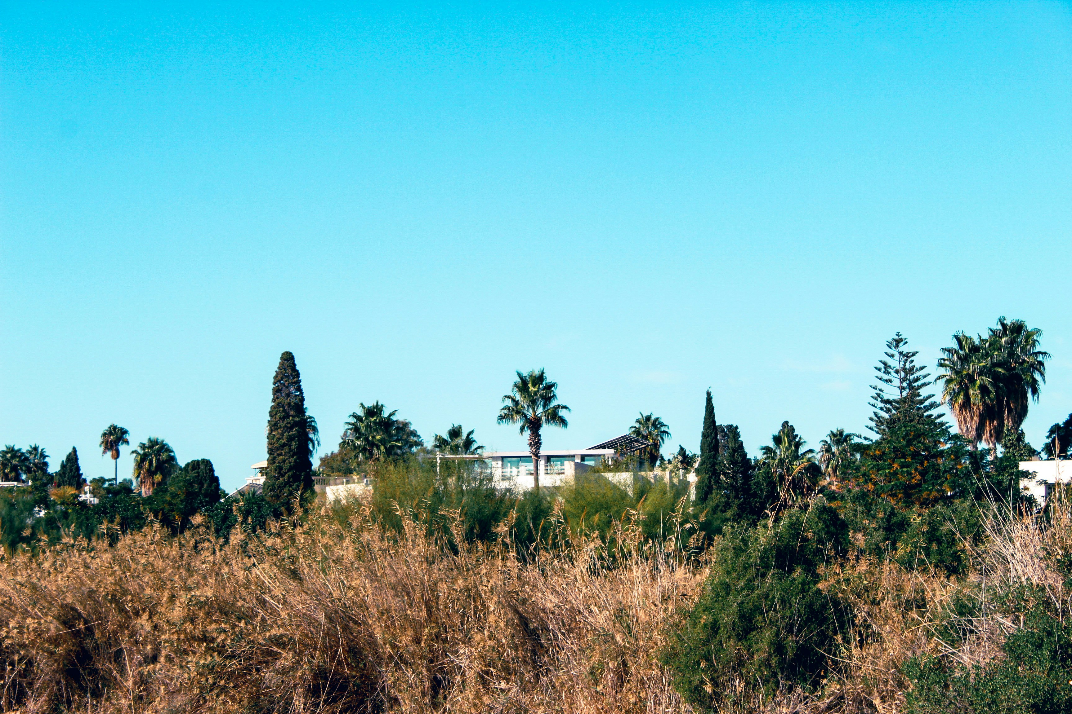 Aline of low houses beneath a bright arc of blue sky