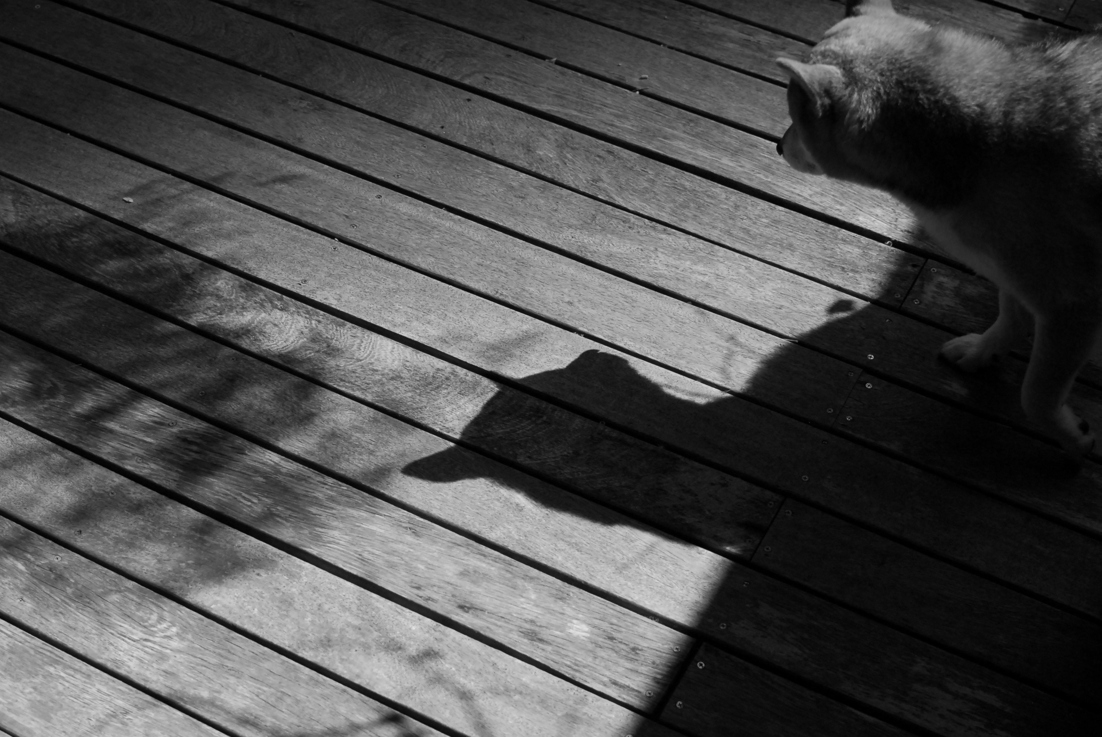 Photo by 强 任 with Nikon D200