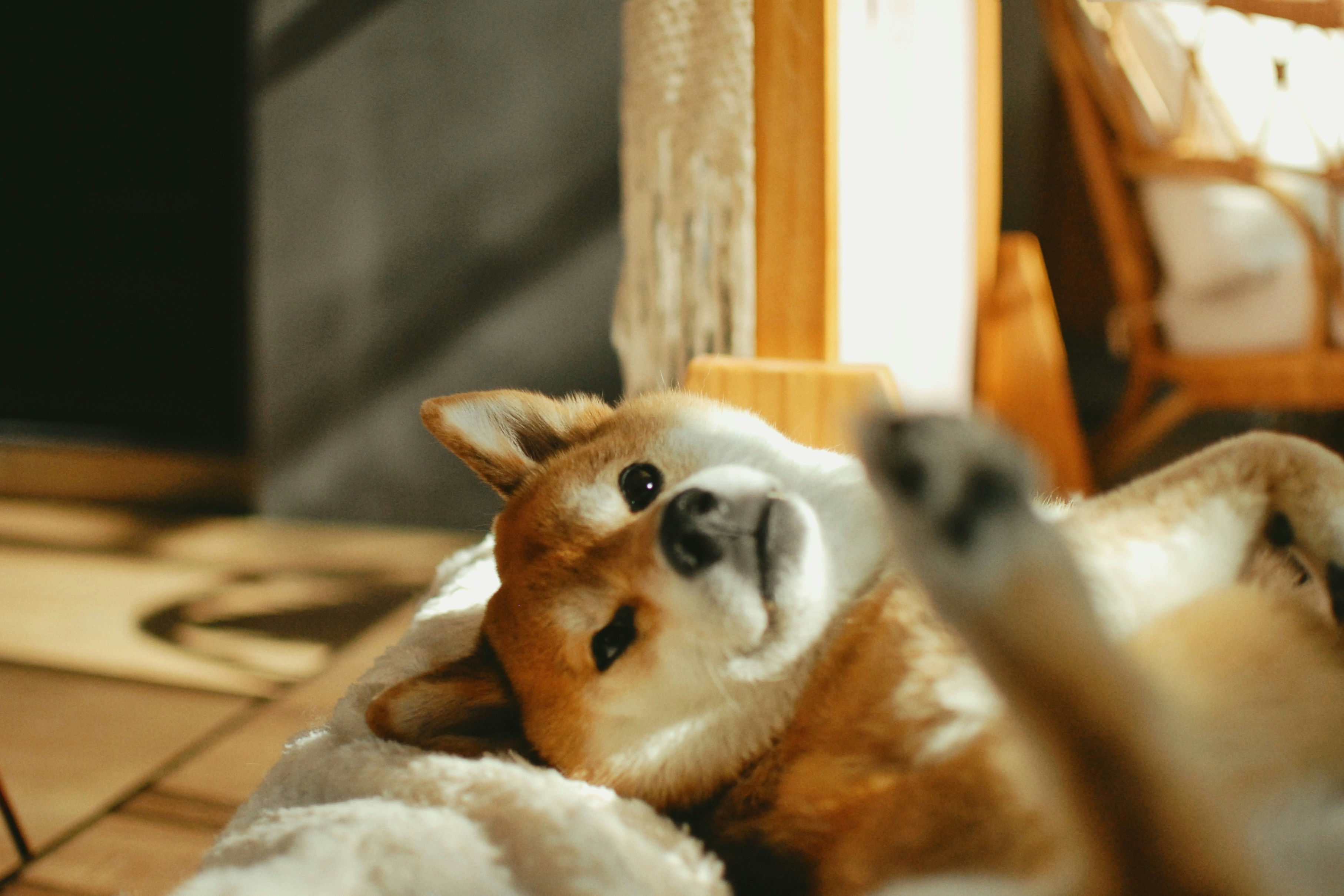 Photo by 强 任 with Nikon D200