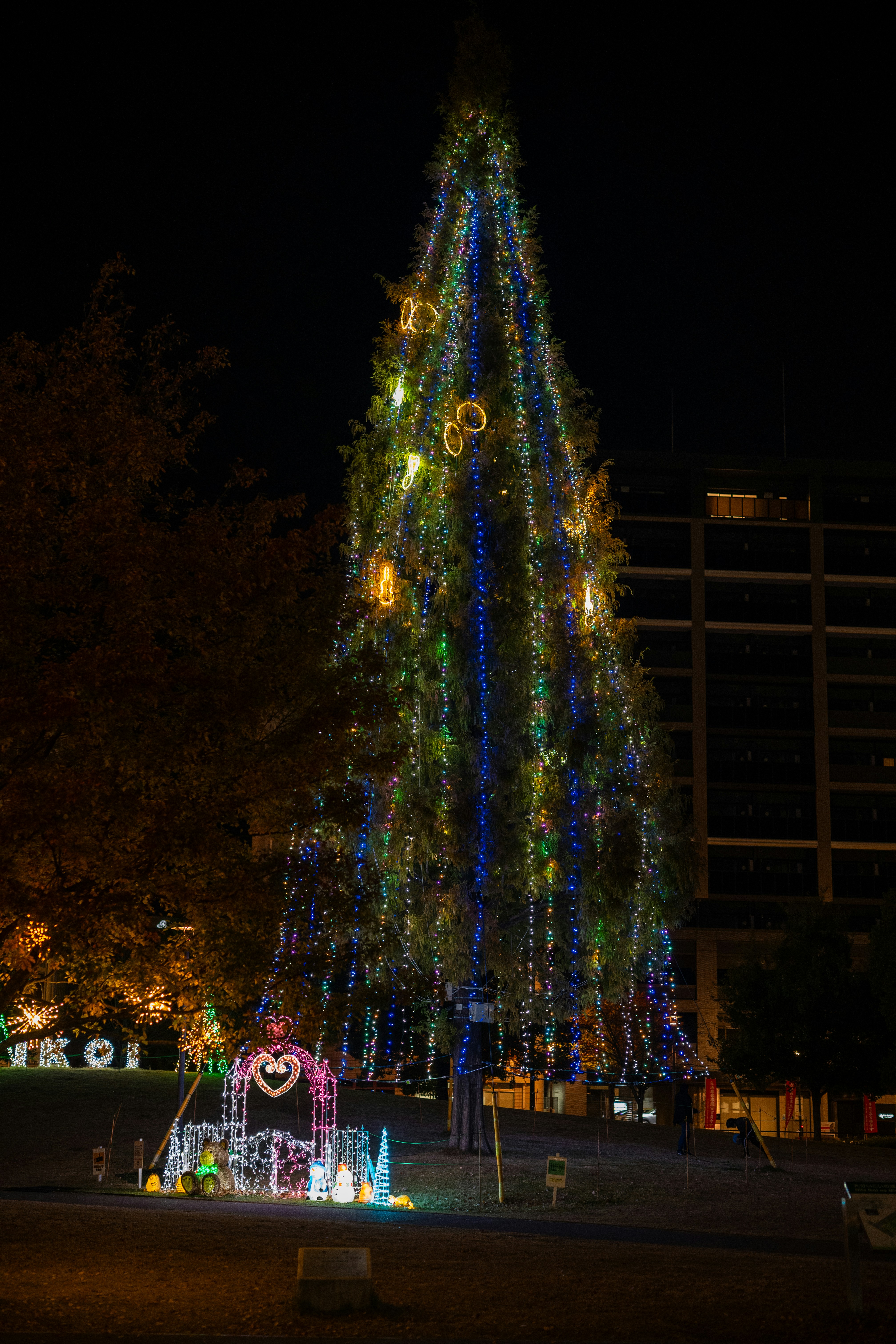 Glowfall: A Night Christmas Tree Reaches for the Sky