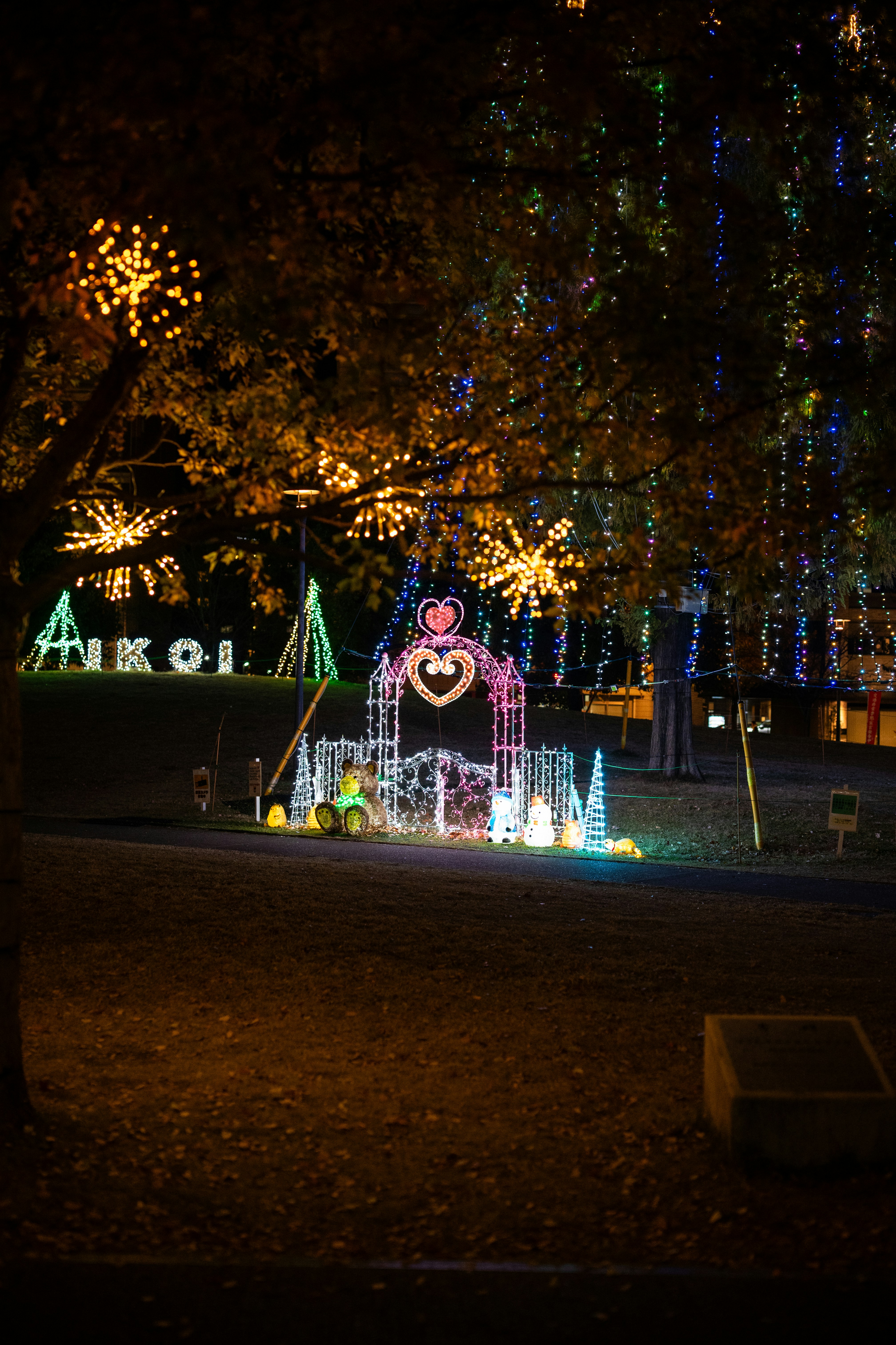 Photo by Kouji Tsuru with Nikon Z6 III