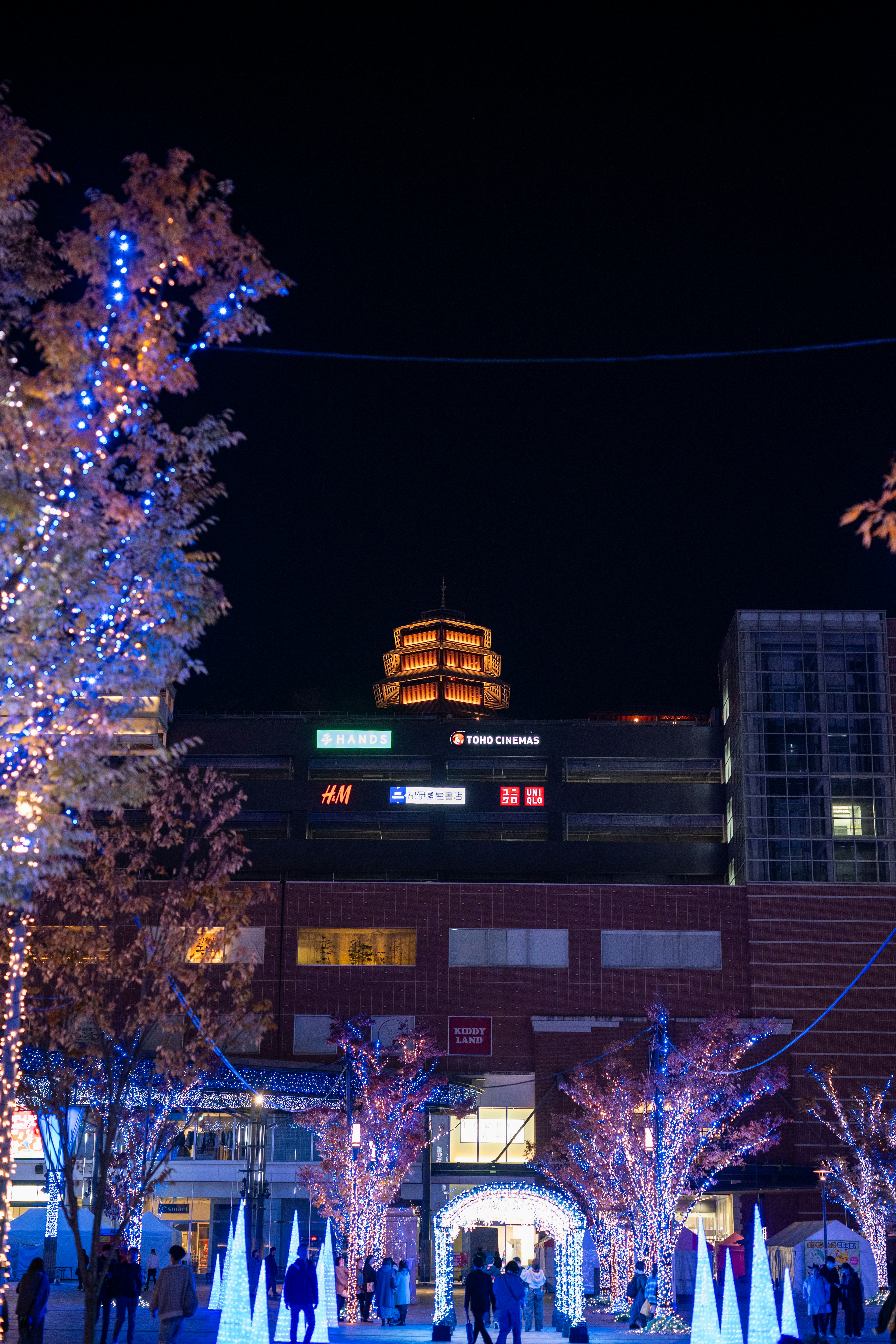 Photo by Kouji Tsuru with Nikon Z6 III