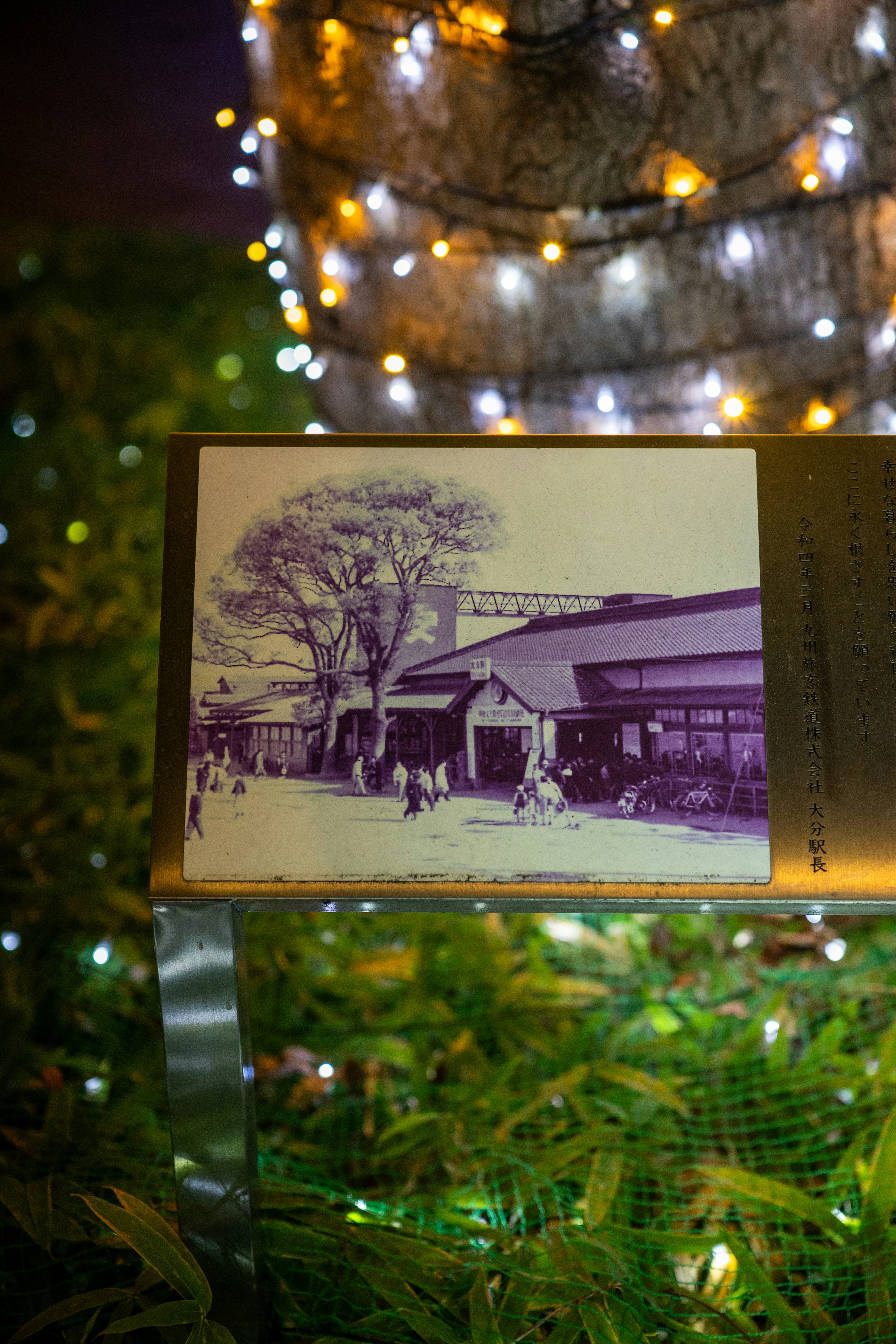 Photo by Kouji Tsuru with Nikon Z6 III