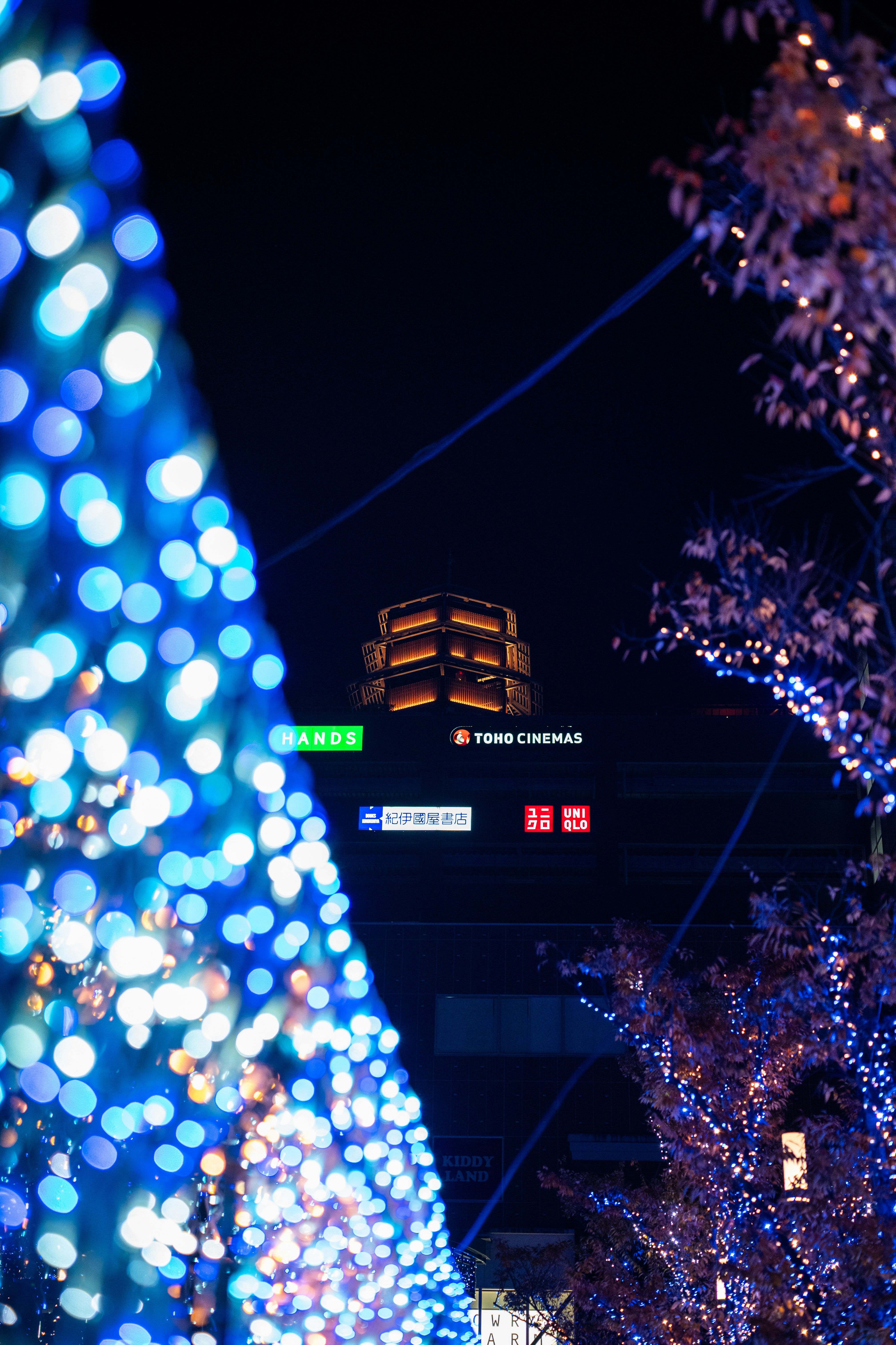 Blue Neon Christmas Lights Frame a Quiet City Night