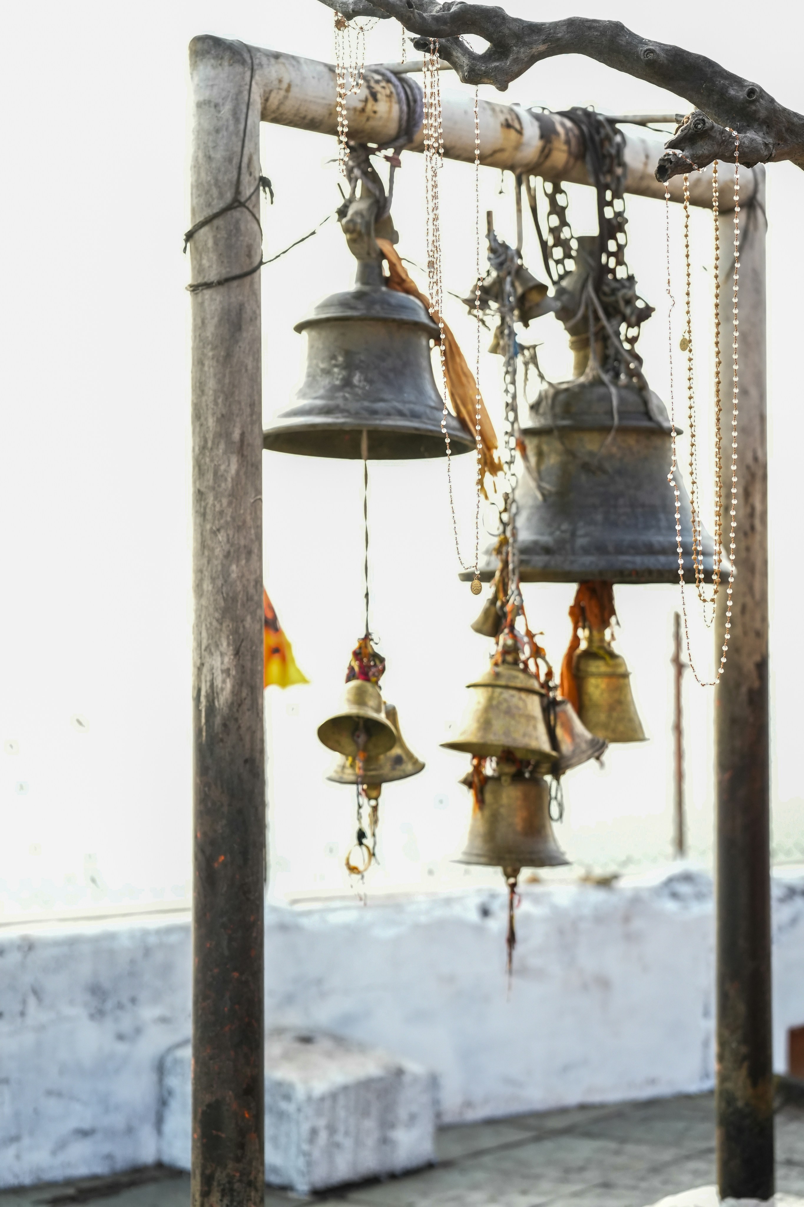 Photo by Prakash Rao with Sony Alpha 7C II