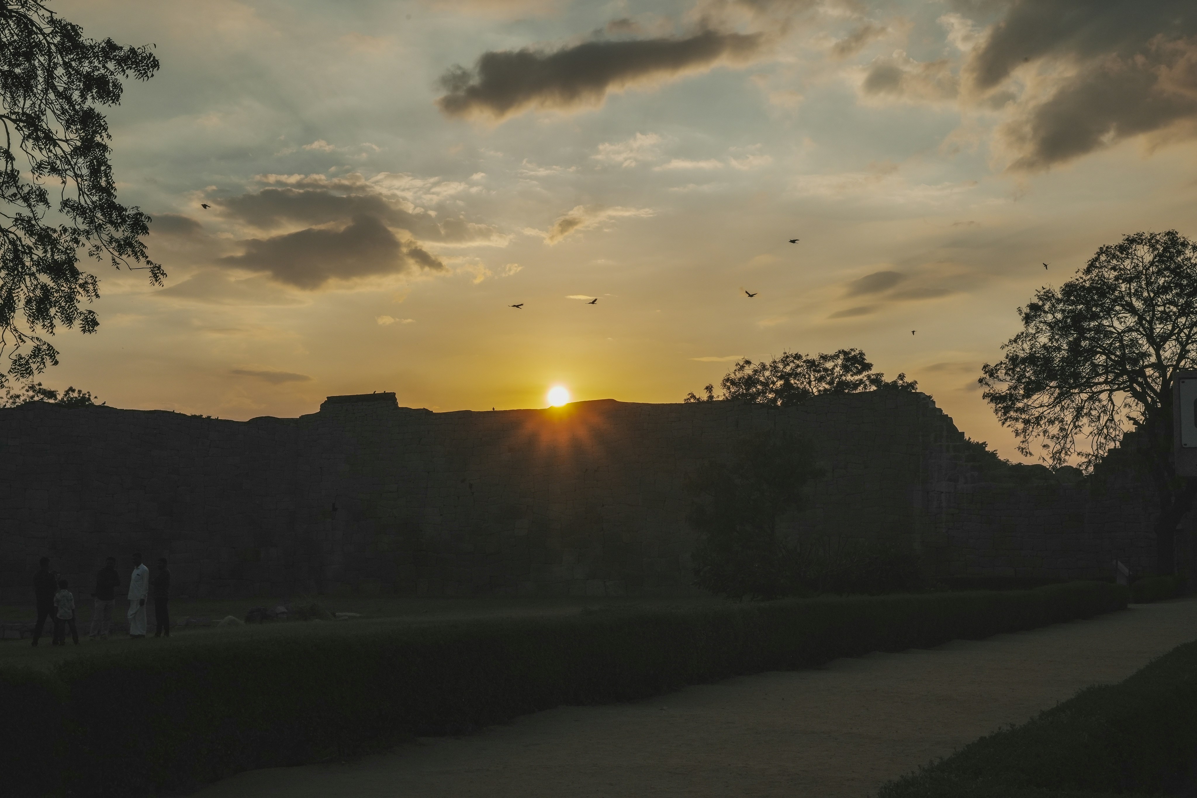 Photo by Prakash Rao with Sony Alpha 7C II