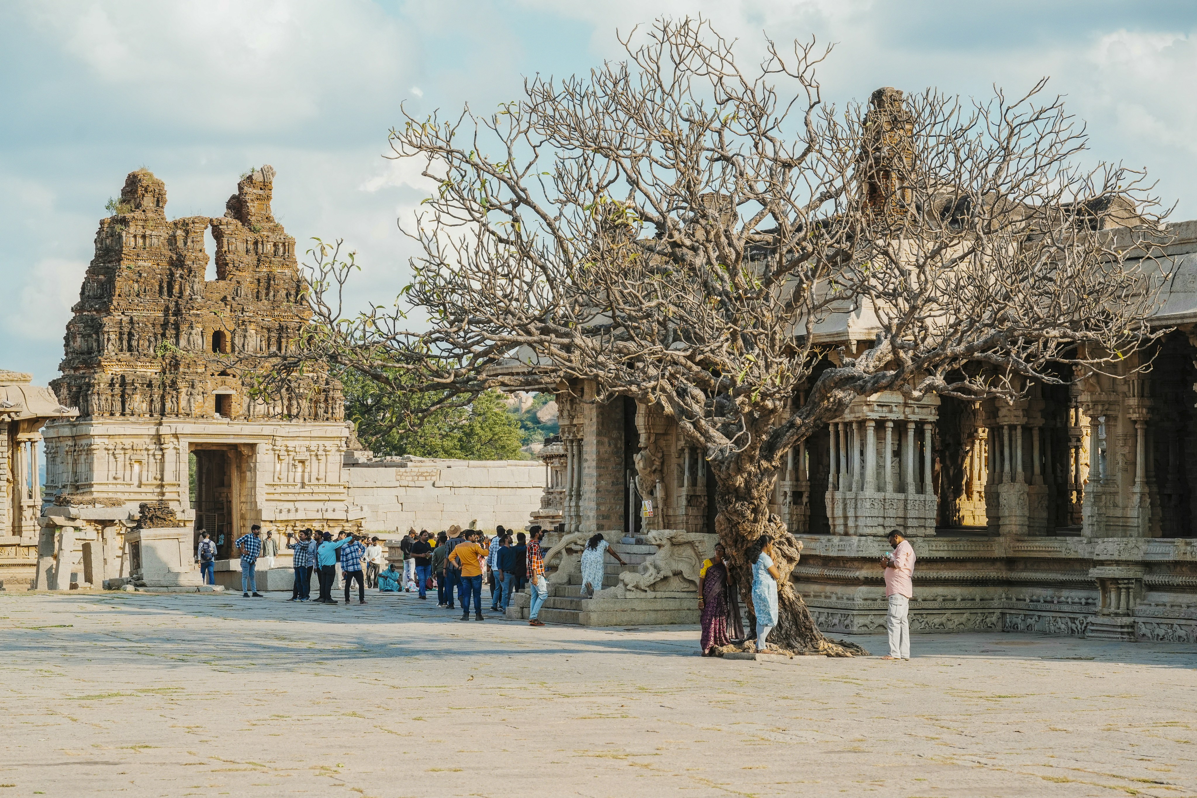 Tree and Temple Courtyard: Visitors Under Ancient Carved Facades