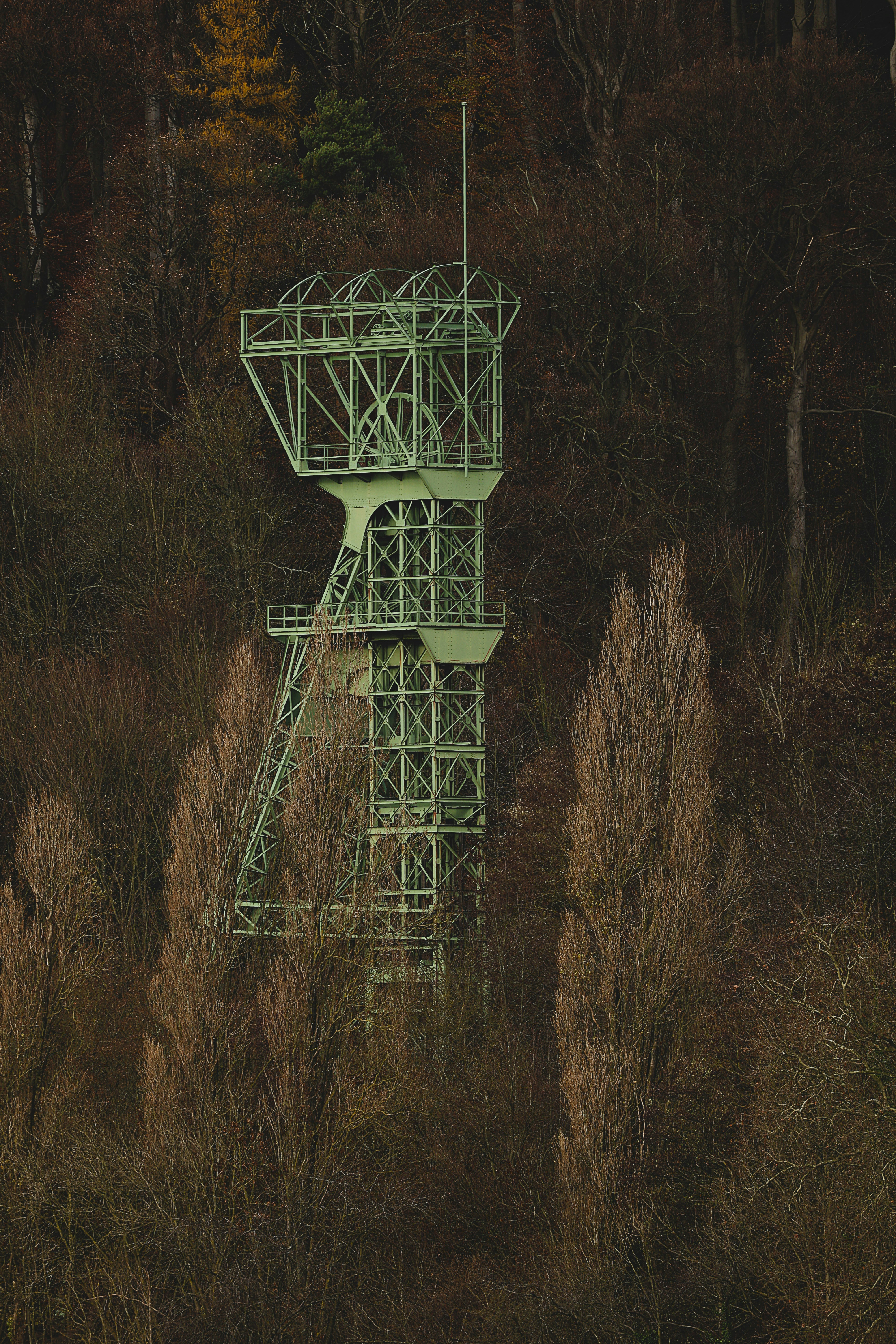 Iron Sentinels Rising from Autumn Forest