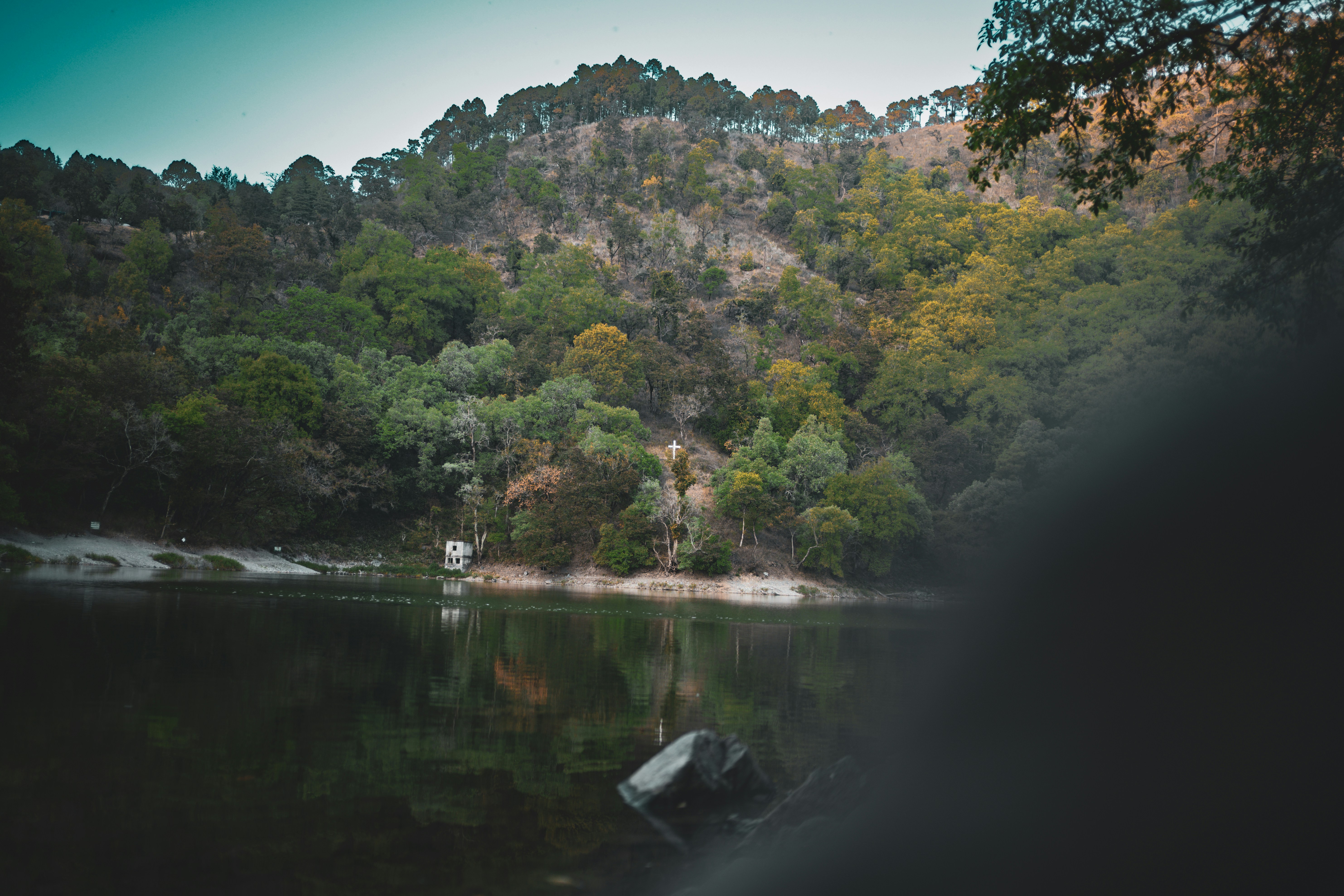 Photo by Sanaila Rasheed with Nikon Z6 III