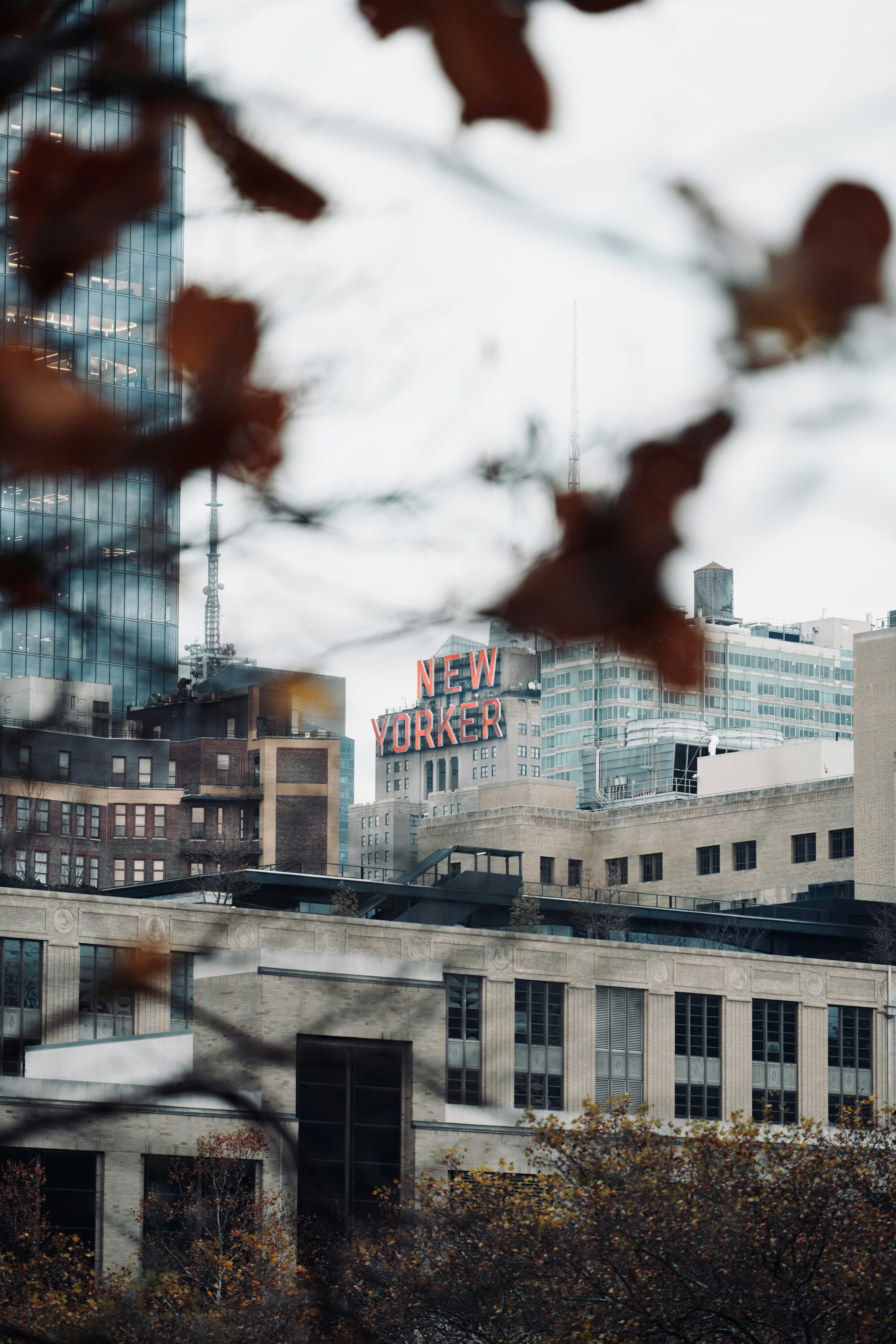 New Yorker sign peeking over midtown rooftops